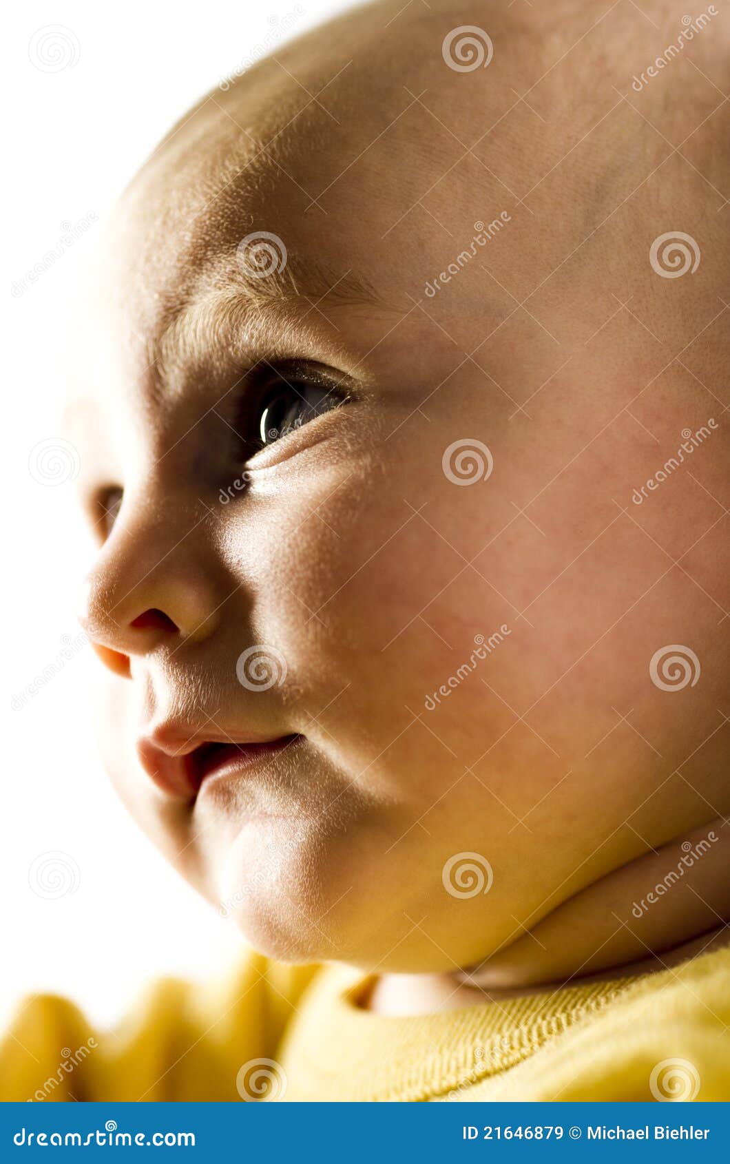 Young baby looking stock image. Image of looking, head - 21646879