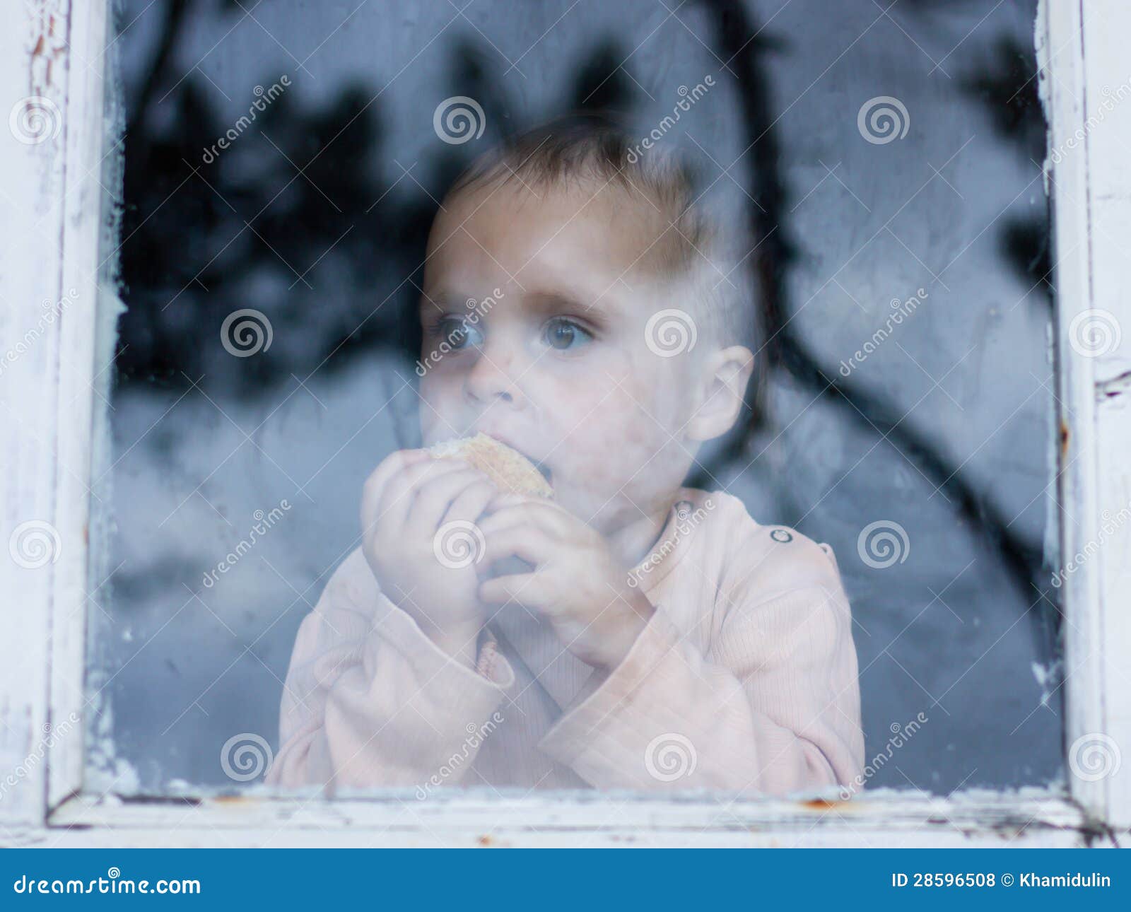 Young Baby Looking from Window Stock Photo - Image of childhood, bright ...
