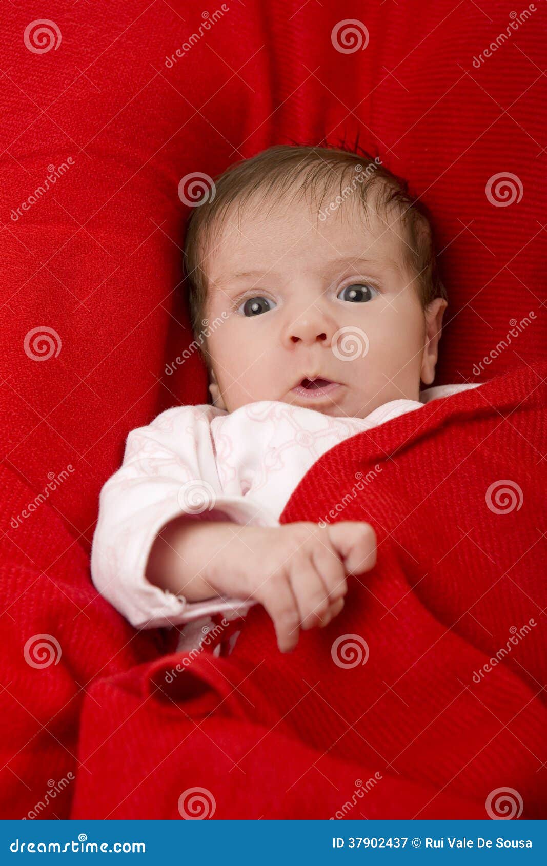 Young baby stock image. Image of person, blanket, model - 37902437