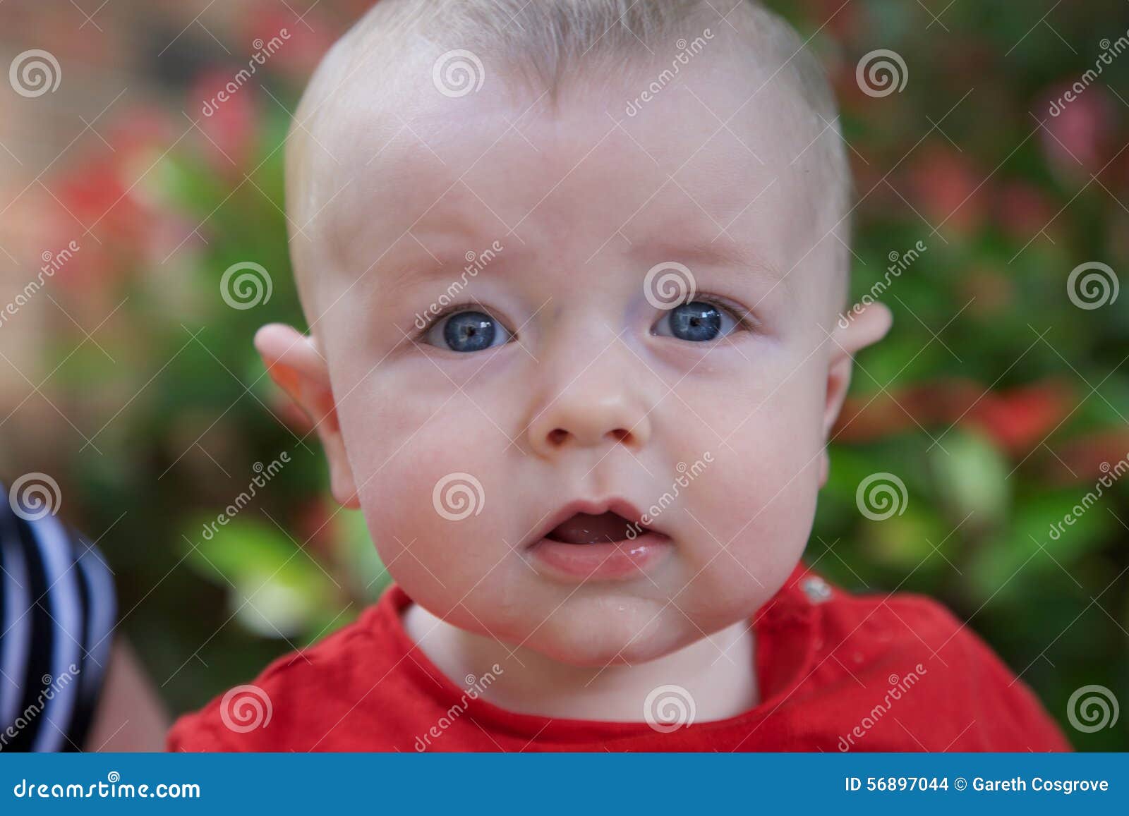 Young Baby Posing in the Garden Stock Photo - Image of adorable ...