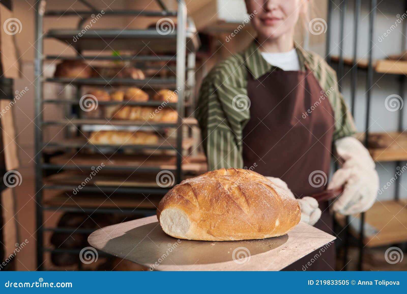 Fresh bread from the oven stock image. Image of bread - 219833505