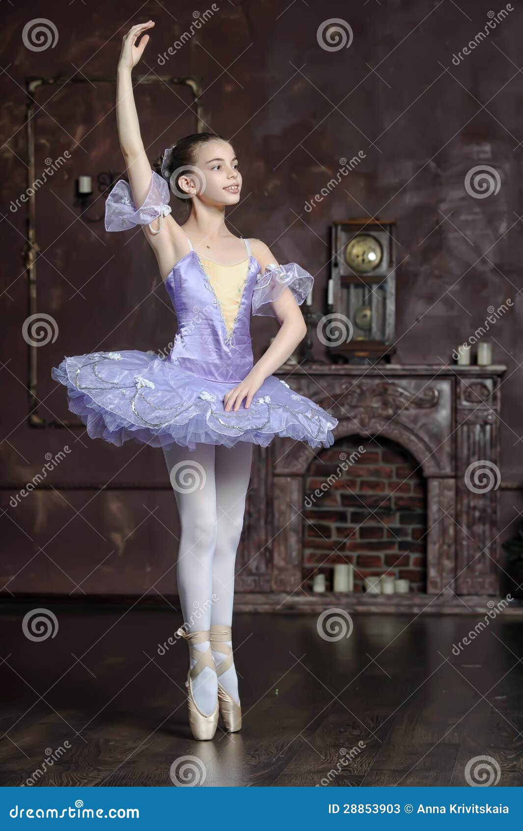 Young ballerina in a lilac stock image. Image of dancer - 28853903