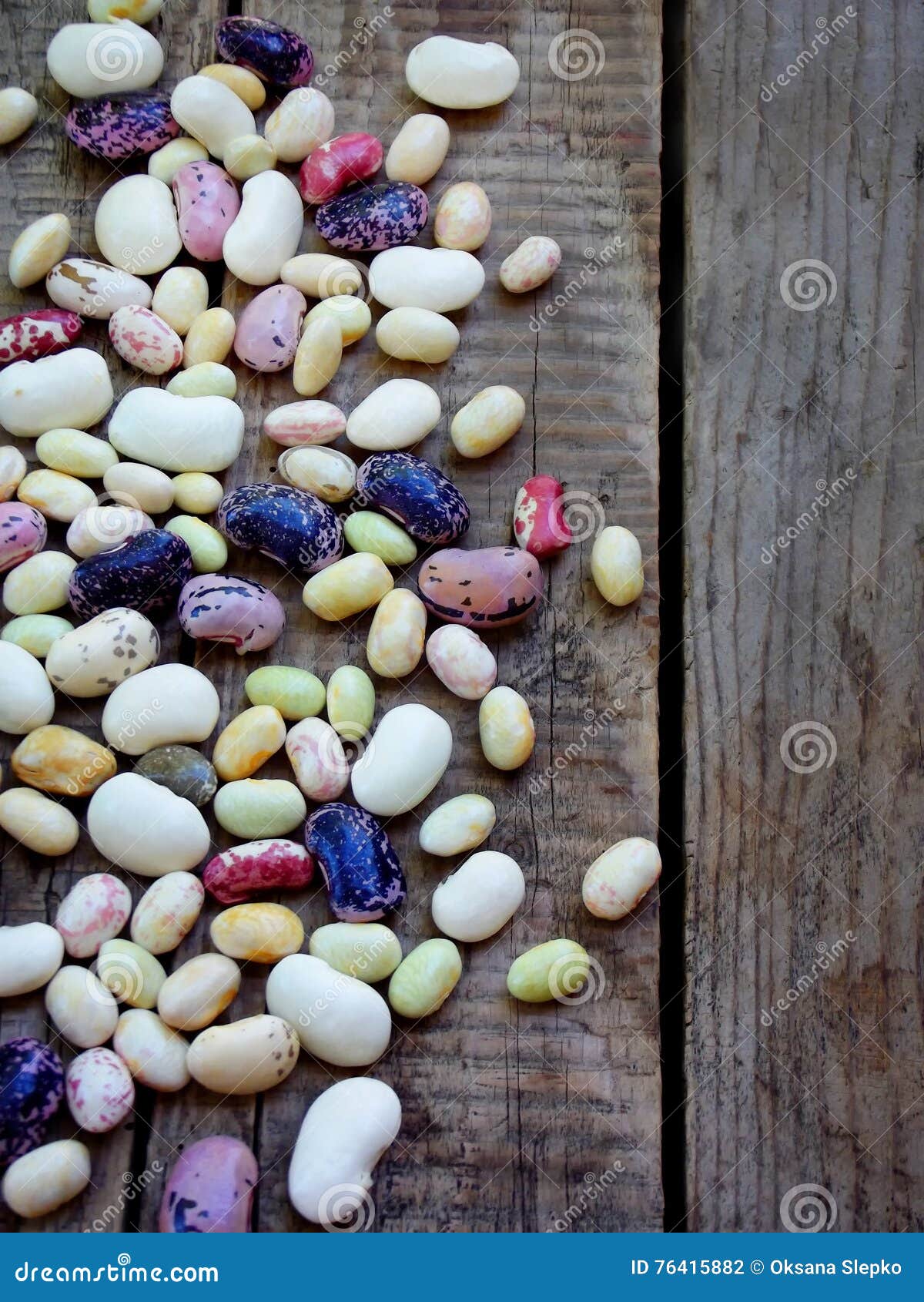 Young Beans of Different Varieties and Colors with a Side Border on a ...