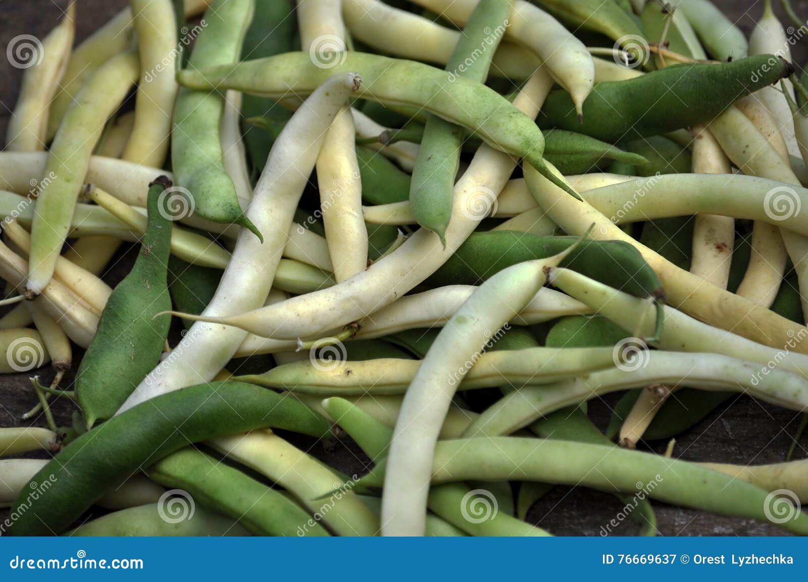 Young beans in the pod stock image. Image of green, food - 76669637