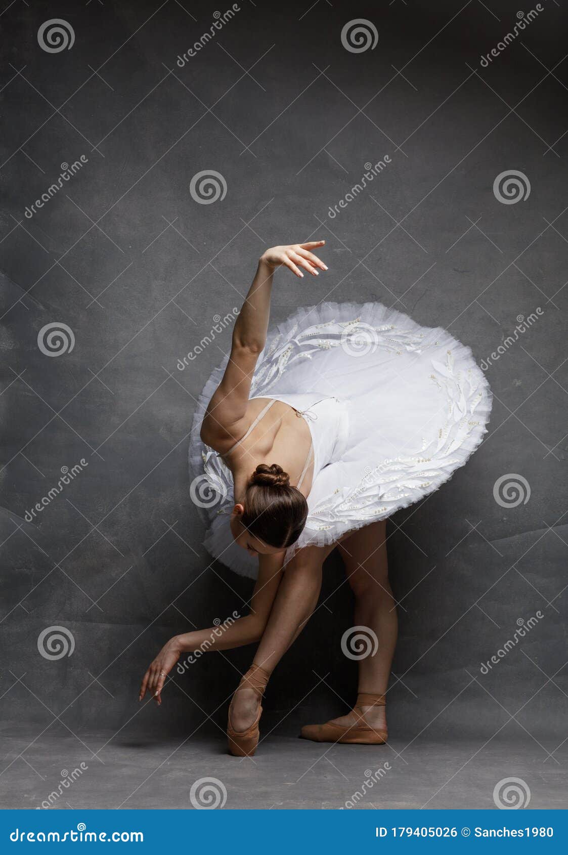 Young Beautiful Ballet Dancer is Posing in Studio Stock Photo - Image ...