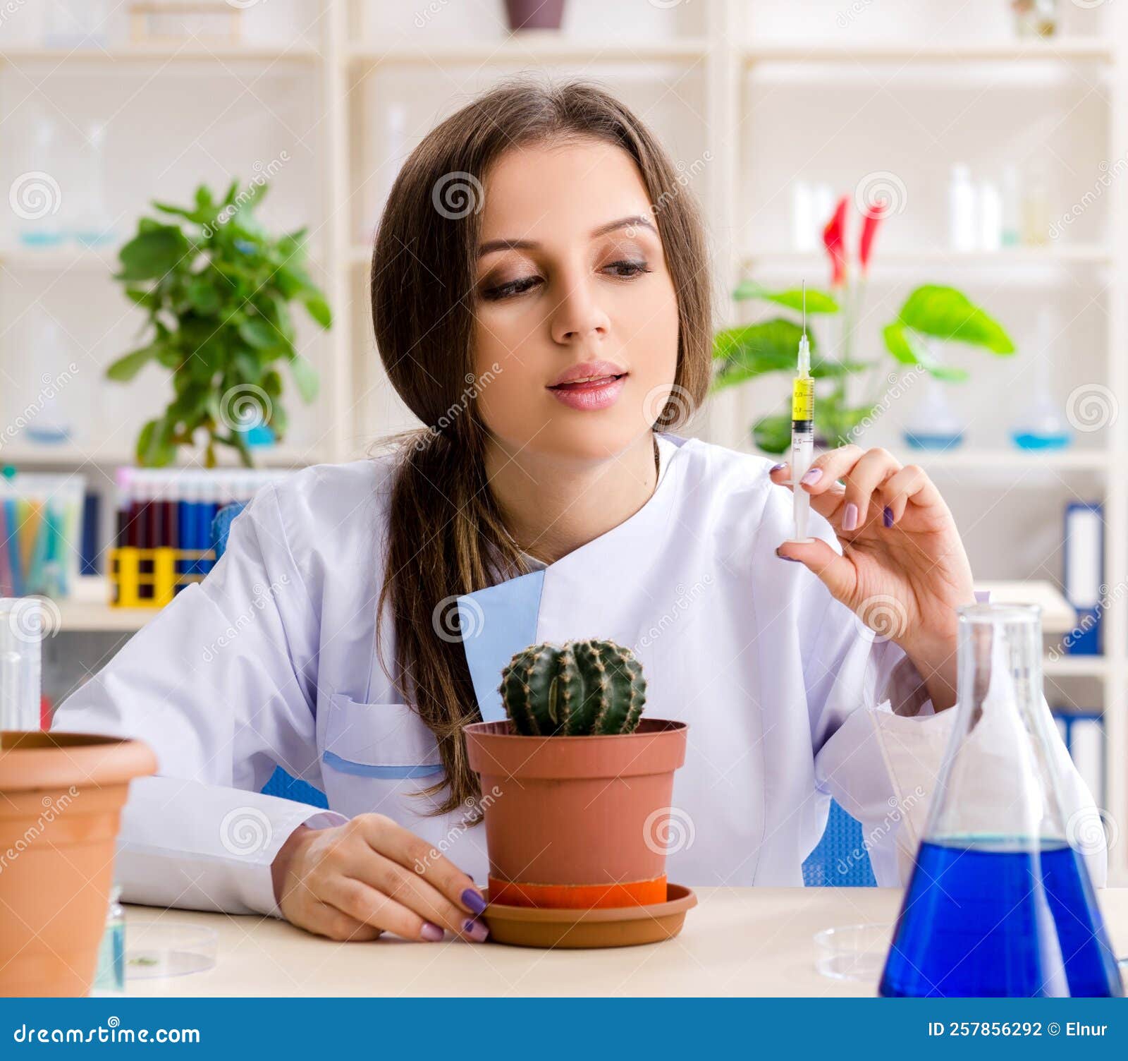 Young Beautiful Biotechnology Chemist Working in the Lab Stock Photo ...