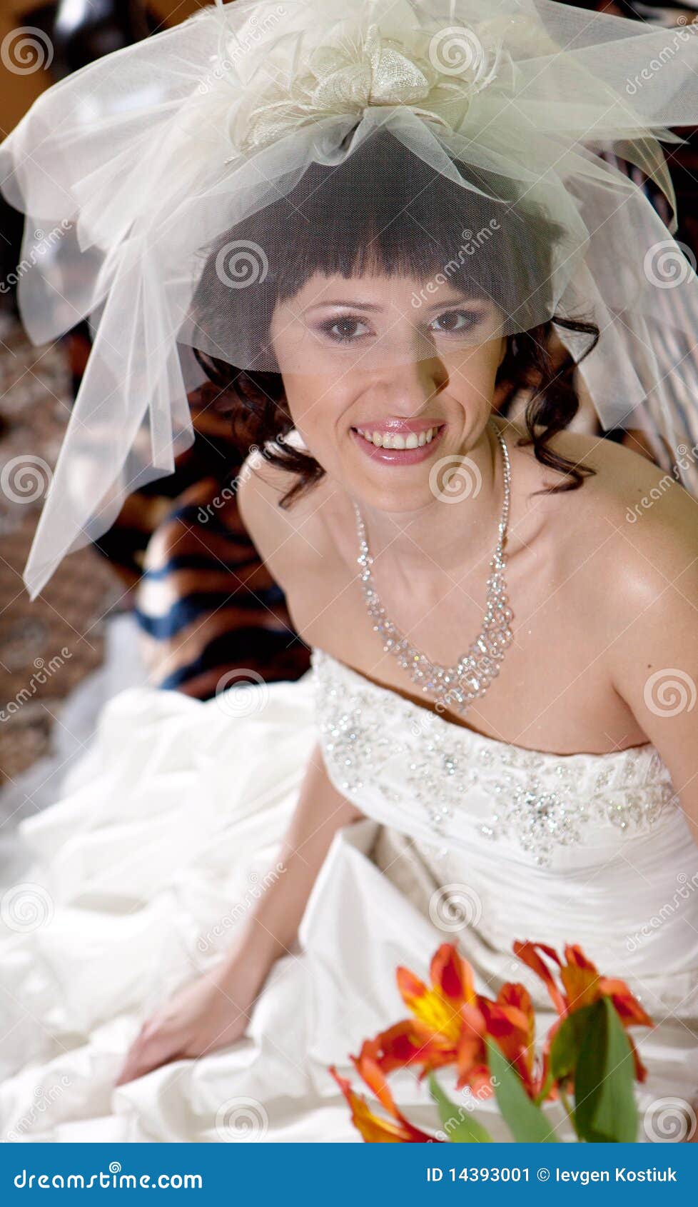 Young beautiful bride stock image. Image of face, love - 14393001
