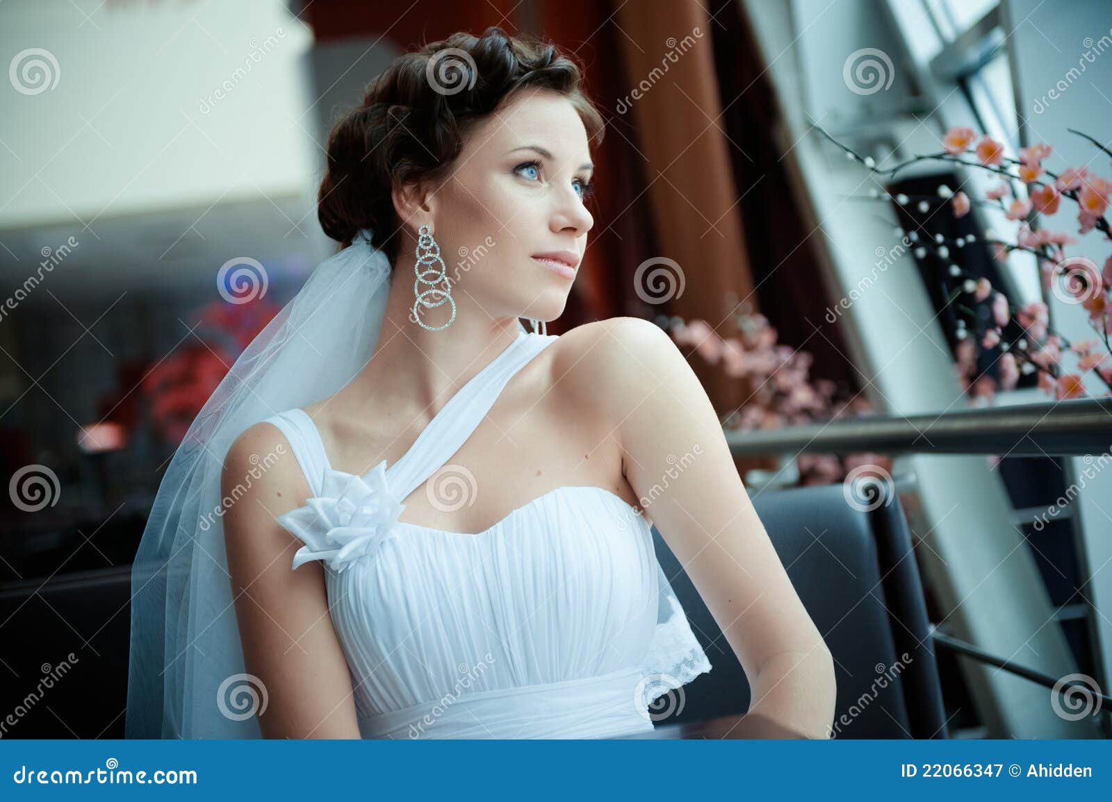 Young beautiful bride stock image. Image of beauty, joyful - 22066347