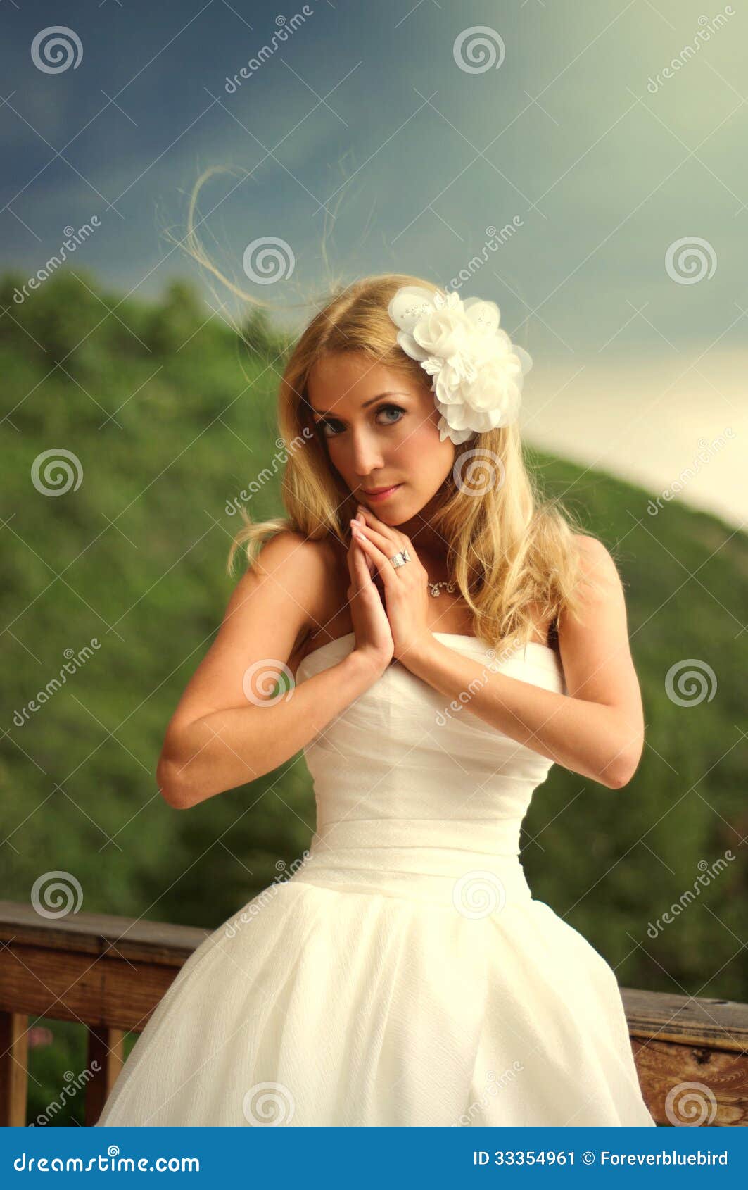 Young beautiful bride stock image. Image of hopes, fiancee - 33354961