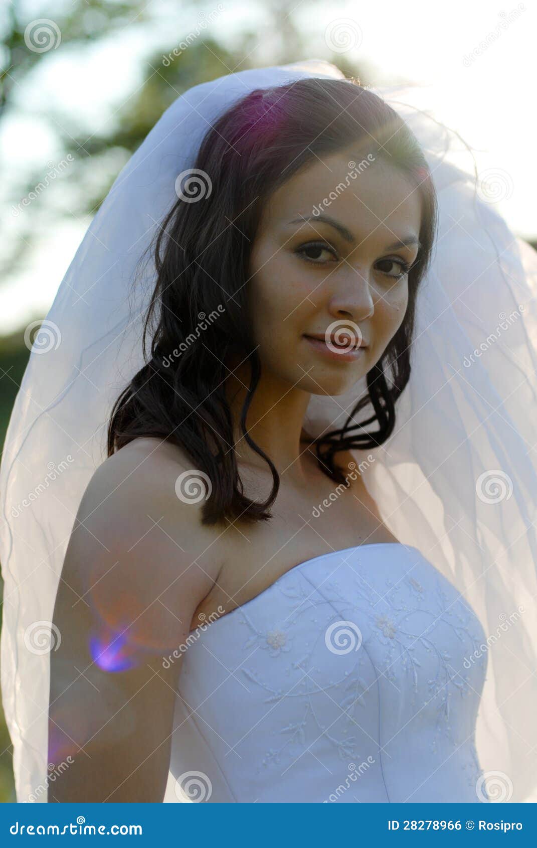 Young Beautiful Bride Portrait Outdoors Stock Photo - Image of marriage ...