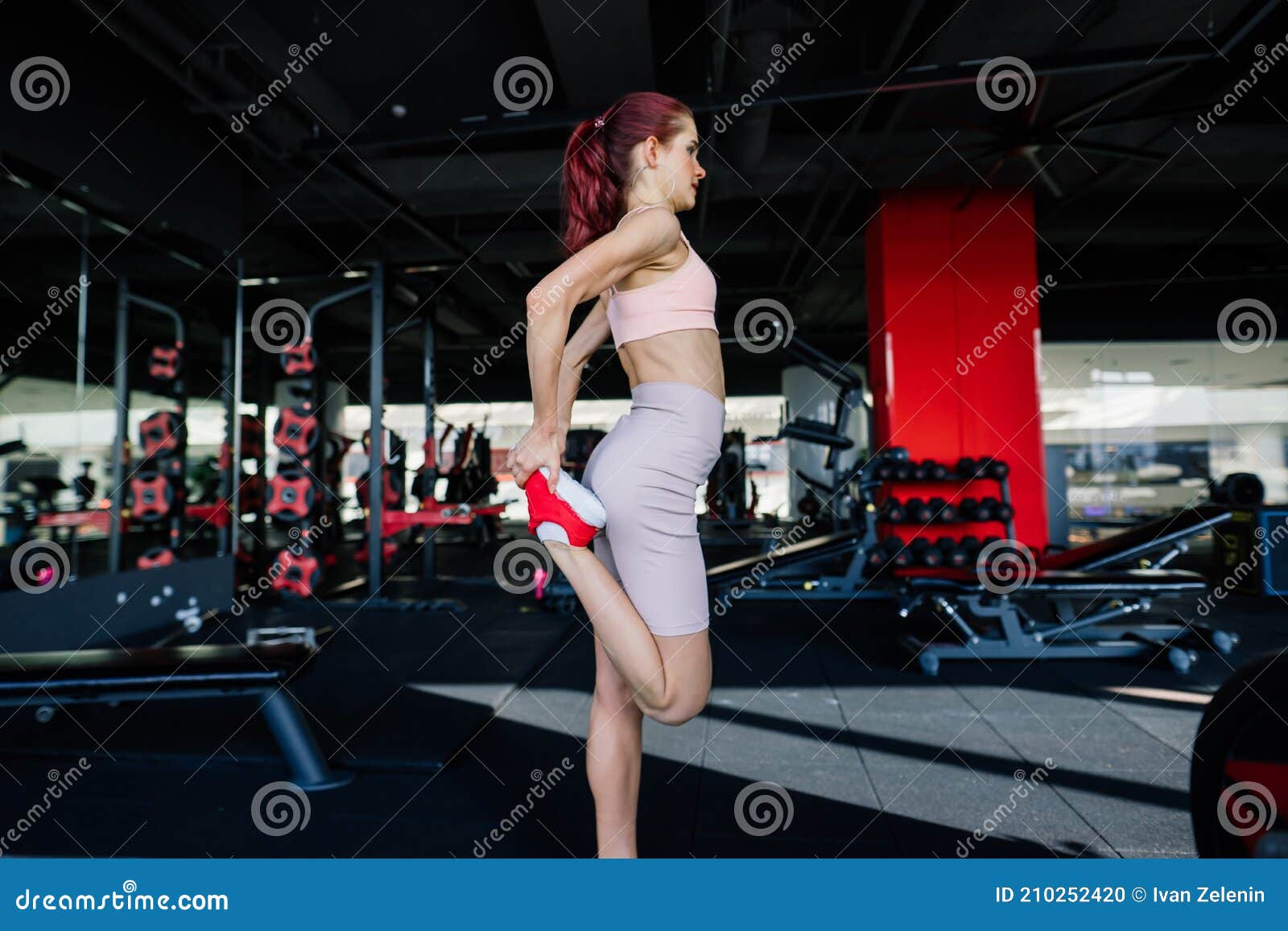 A Young and Beautiful Female Trains with a Barbell in the Gym. Posing ...