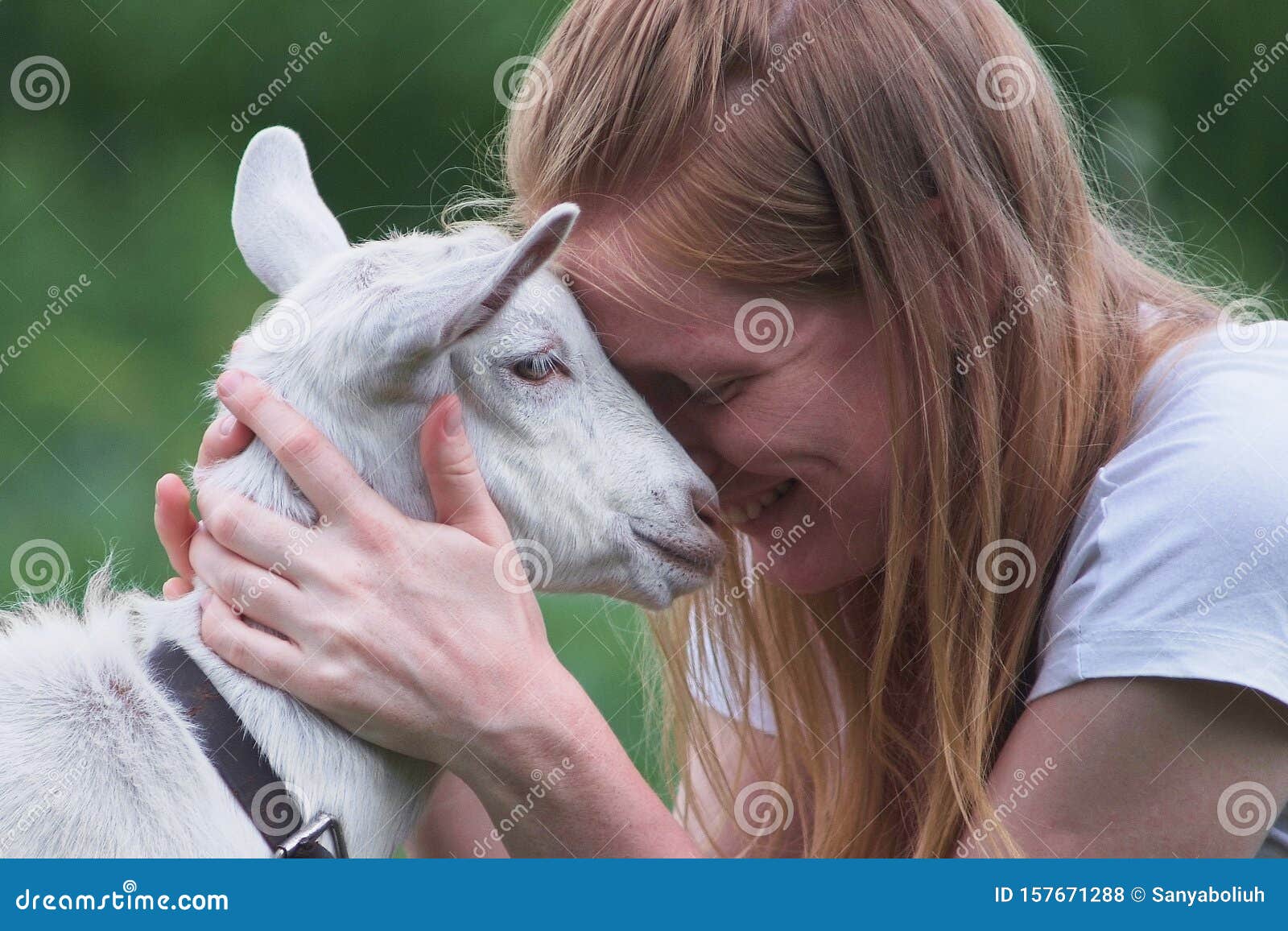 Young Beautiful Girl Hugging a White Goat Stock Photo - Image of farm ...