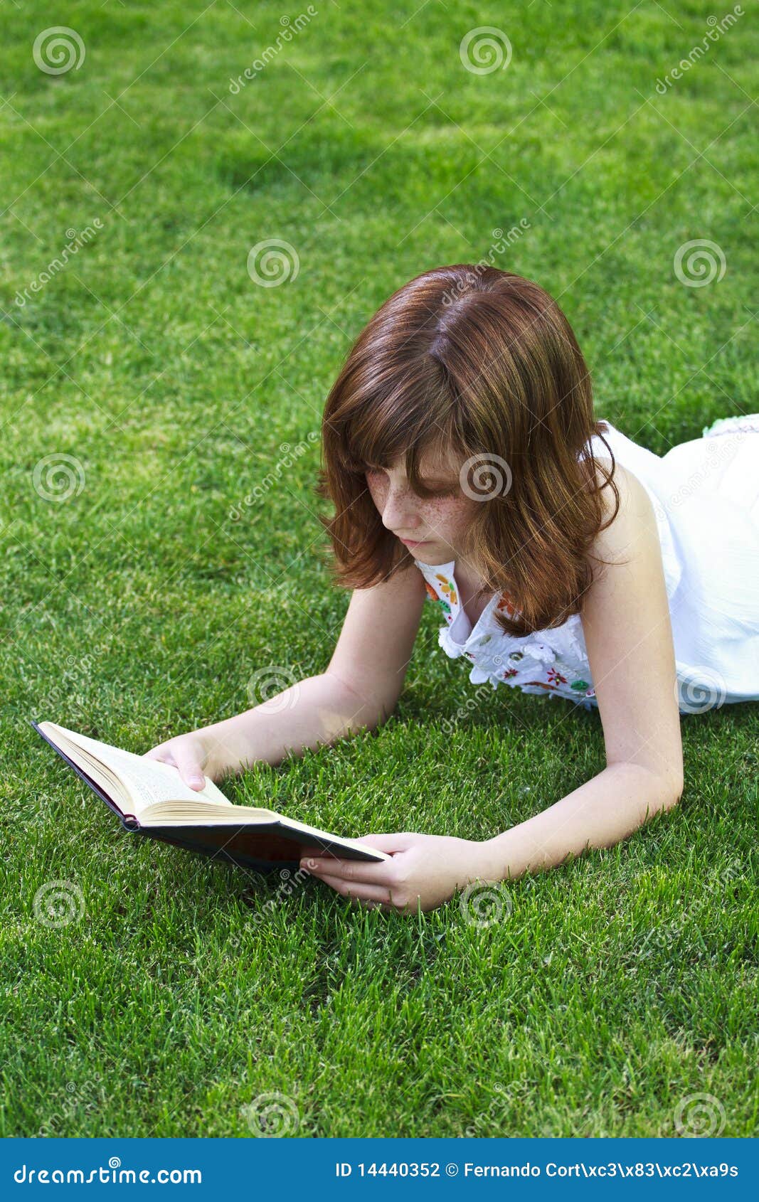 Young Beautiful Girl Reading Stock Photo - Image of education ...