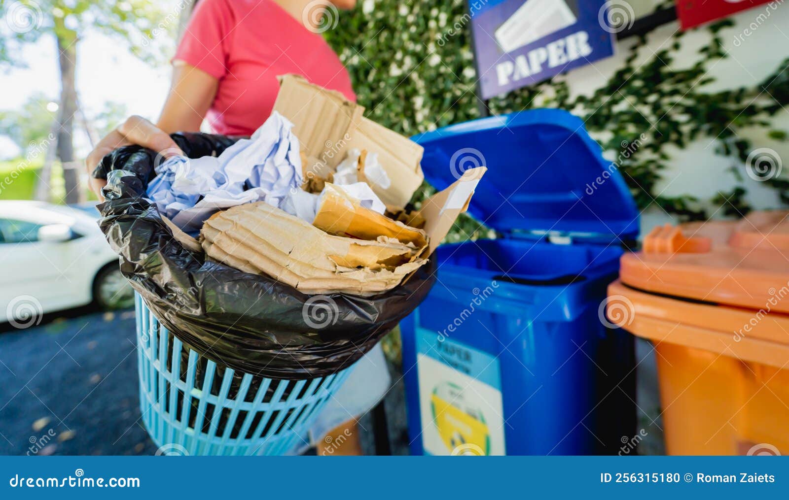 A Young Beautiful Girl Throws Sorted Garbage into Special Bins Stock ...