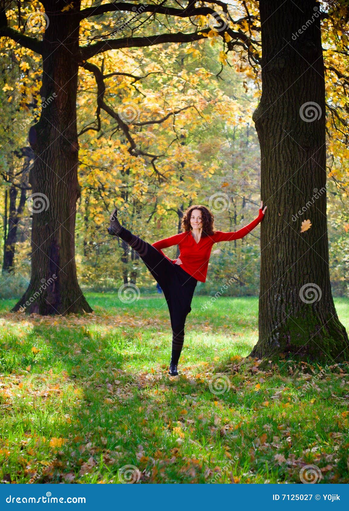 Young Beautiful Girl by the Tree Stock Image - Image of hair, warm: 7125027