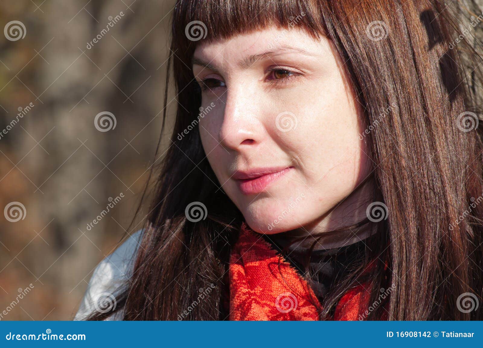 Young Beautiful Romantic Woman Stock Photo - Image of headshot, leaves ...