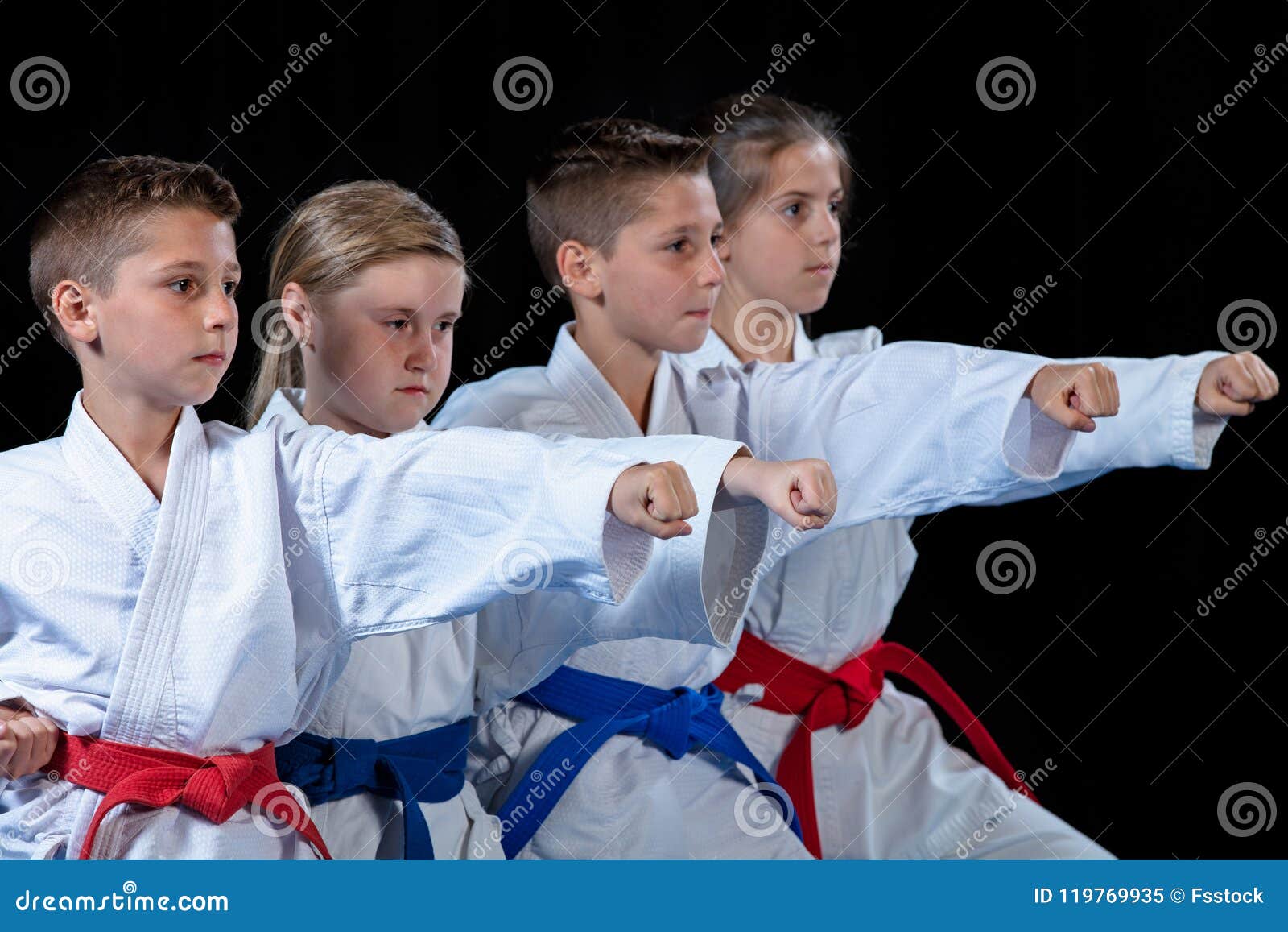 Young, Beautiful, Successful Multi Ethical Karate Kids in Karate ...