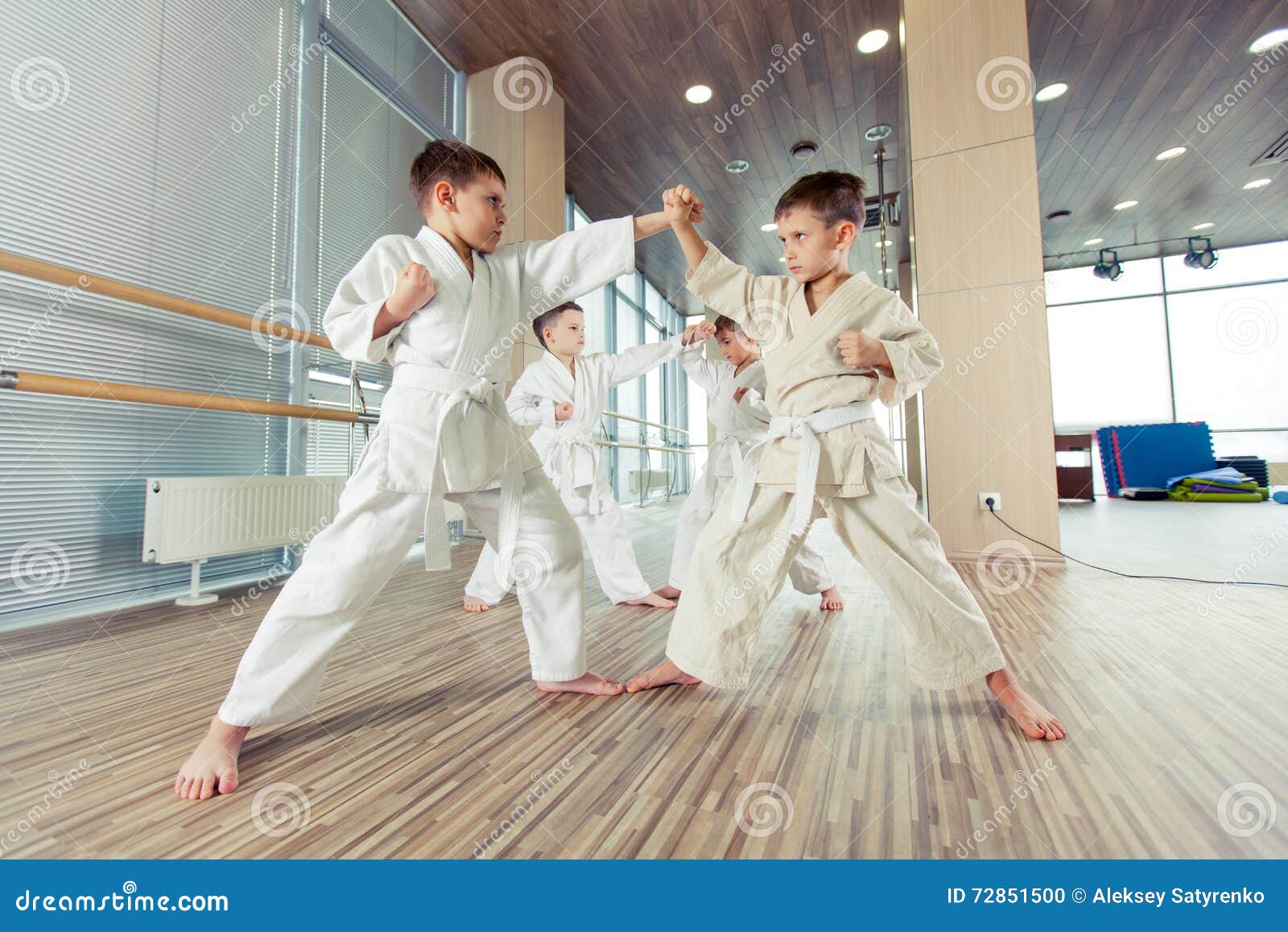 Young, Beautiful, Successful Multi Ethical Kids in Karate Position ...