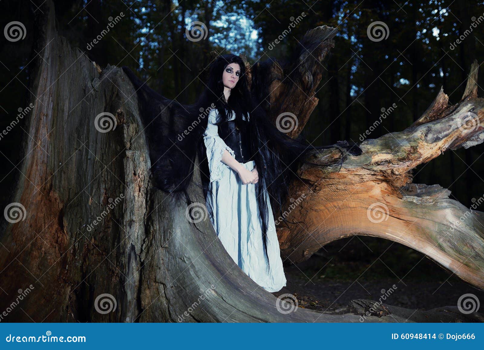 Young Beautiful Witch with Long Dark Hair in Root of Old Tree Stock ...