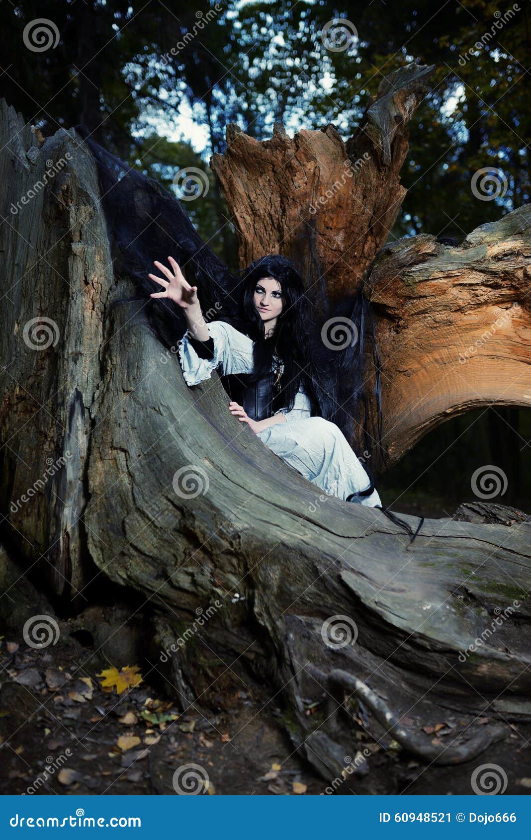 Young Beautiful Witch with Long Dark Hair in Root of Old Tree Stock ...