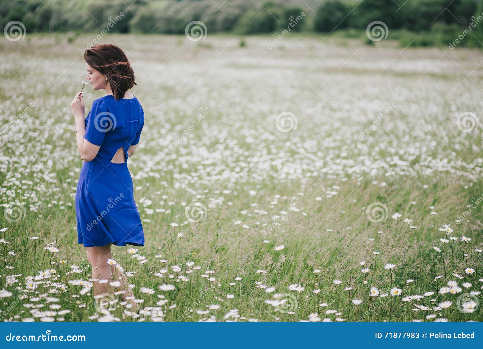 Young Beautiful Woman In A Blue Dress Enjoying Chamomile Field Among