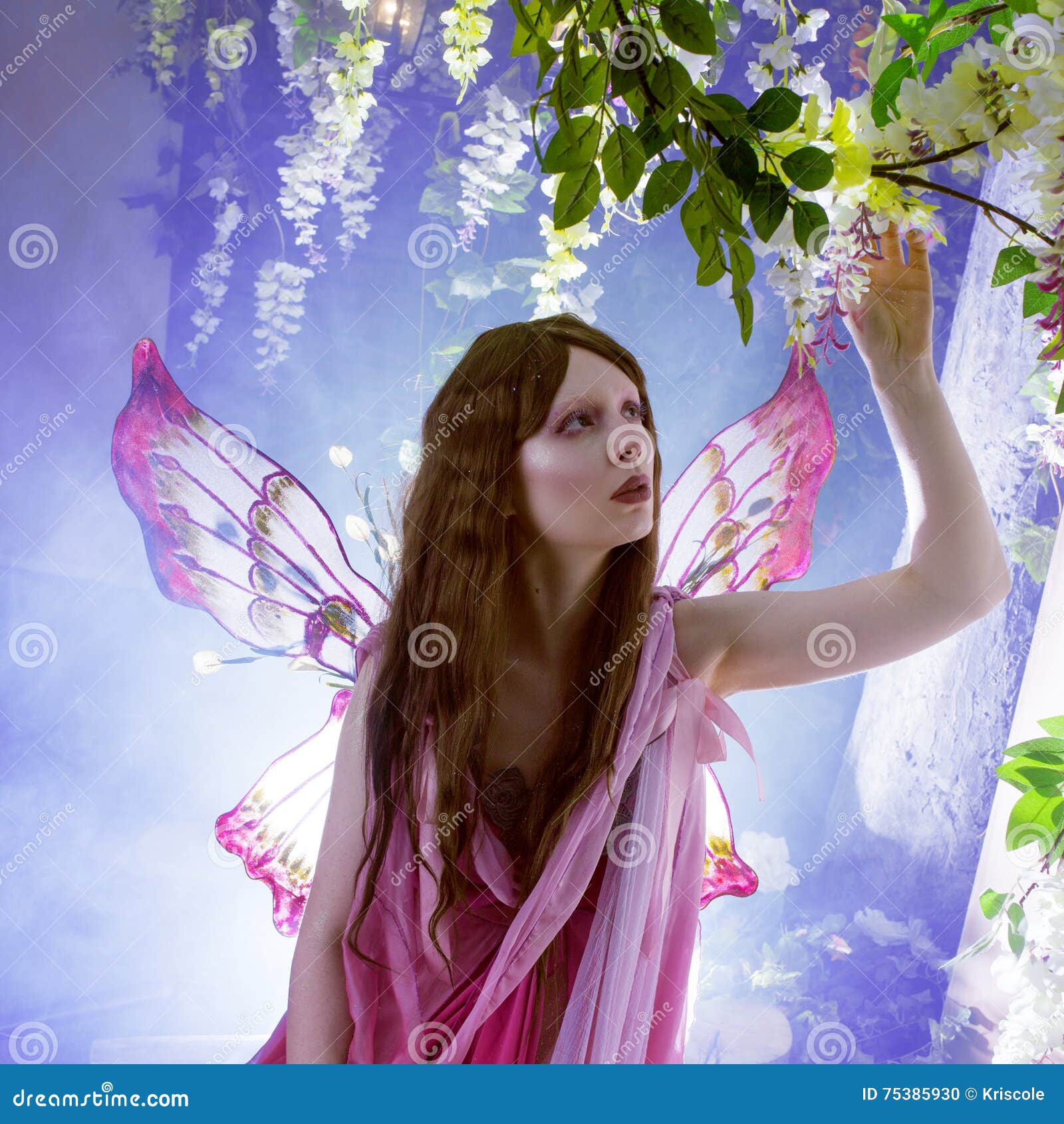 Young Beautiful Woman in the Image of Fairies, Magic Dark Forest Stock ...