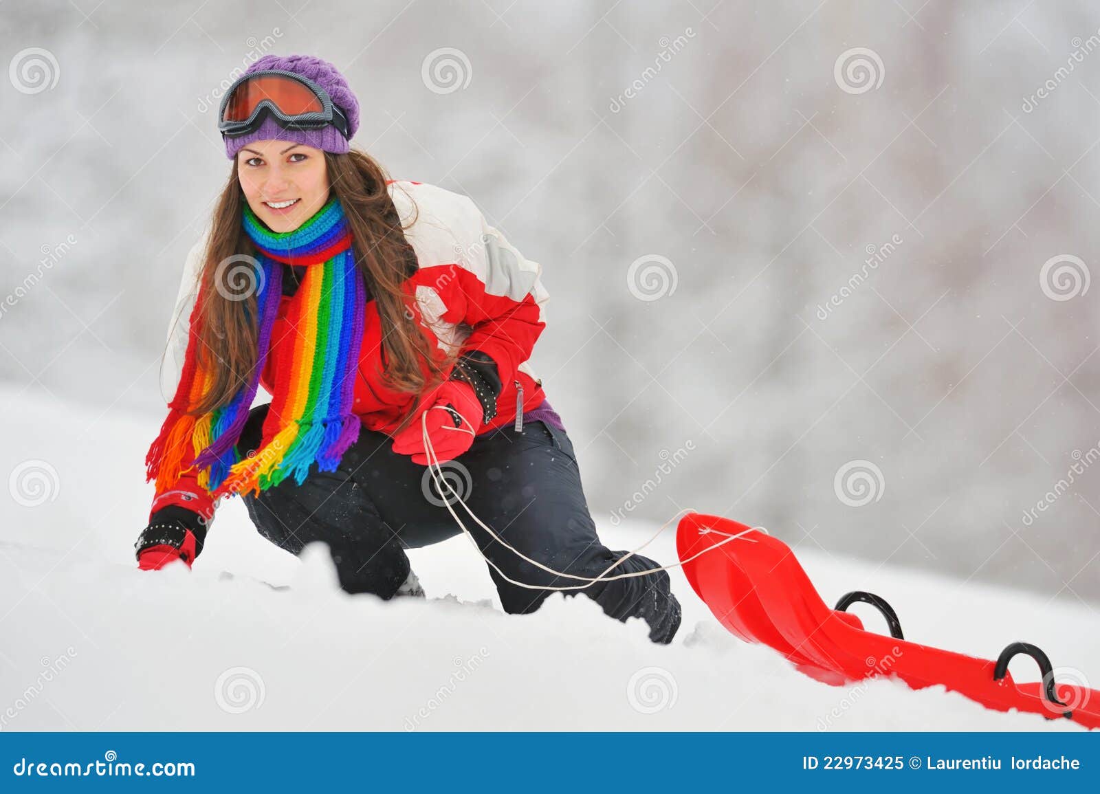 Young Beautiful Woman and Sledge Stock Image - Image of fashion ...
