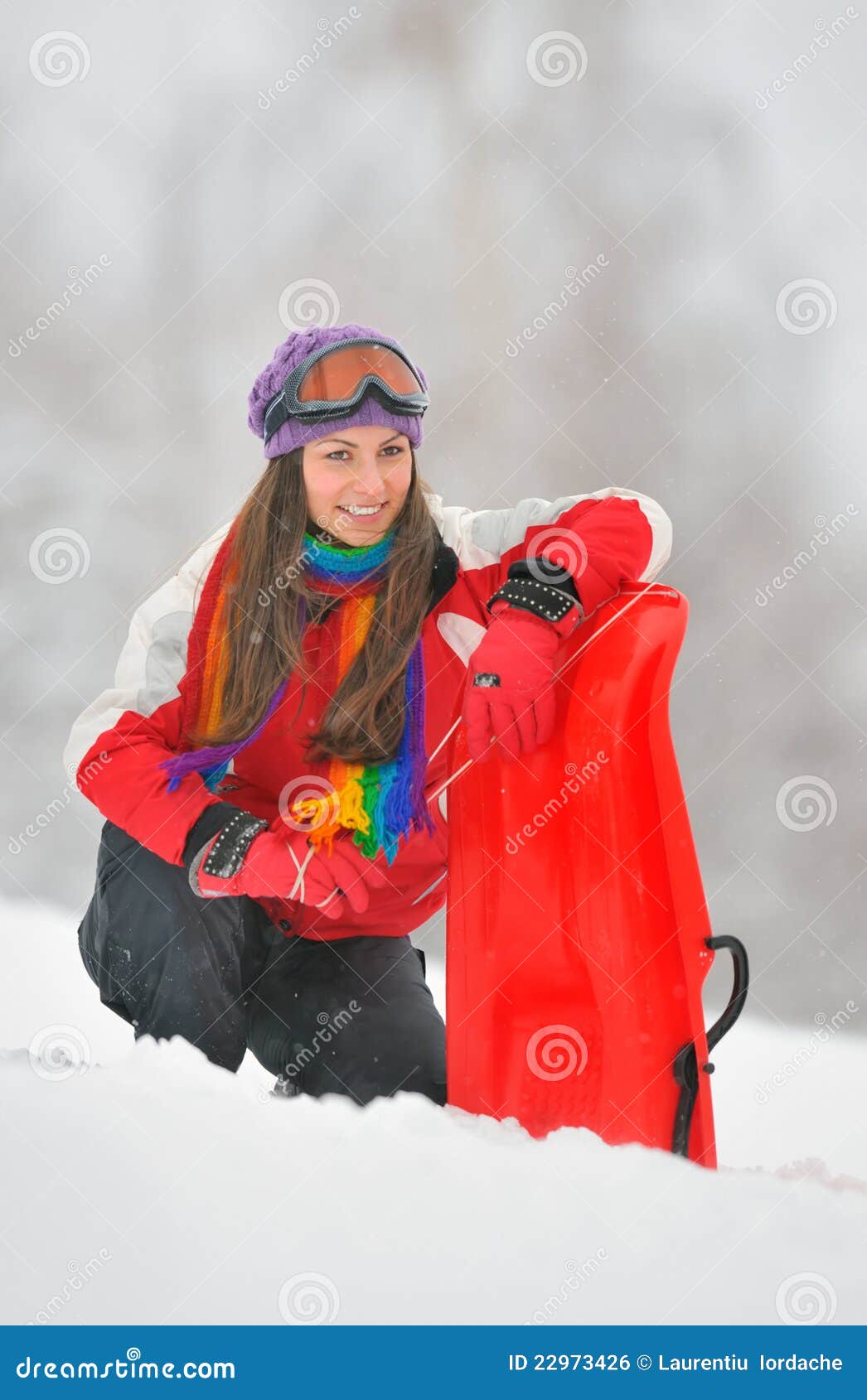 Young Beautiful Woman and Sledge Stock Photo - Image of lady, lying ...