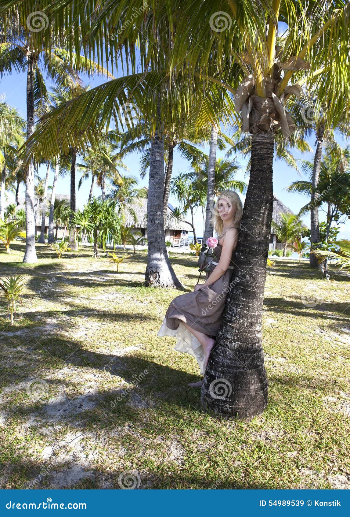 Young Beautiful Woman Stands Near Palm Tree Stock Image Image Of