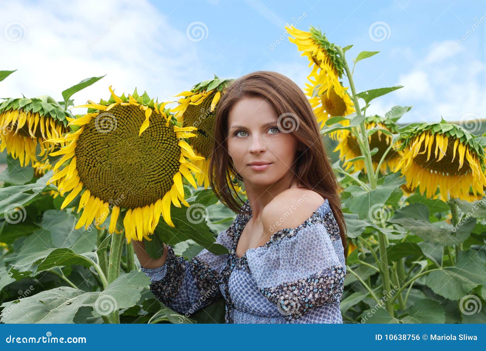 Young Beautiful Woman between Sunflowers Stock Photo - Image of natural ...
