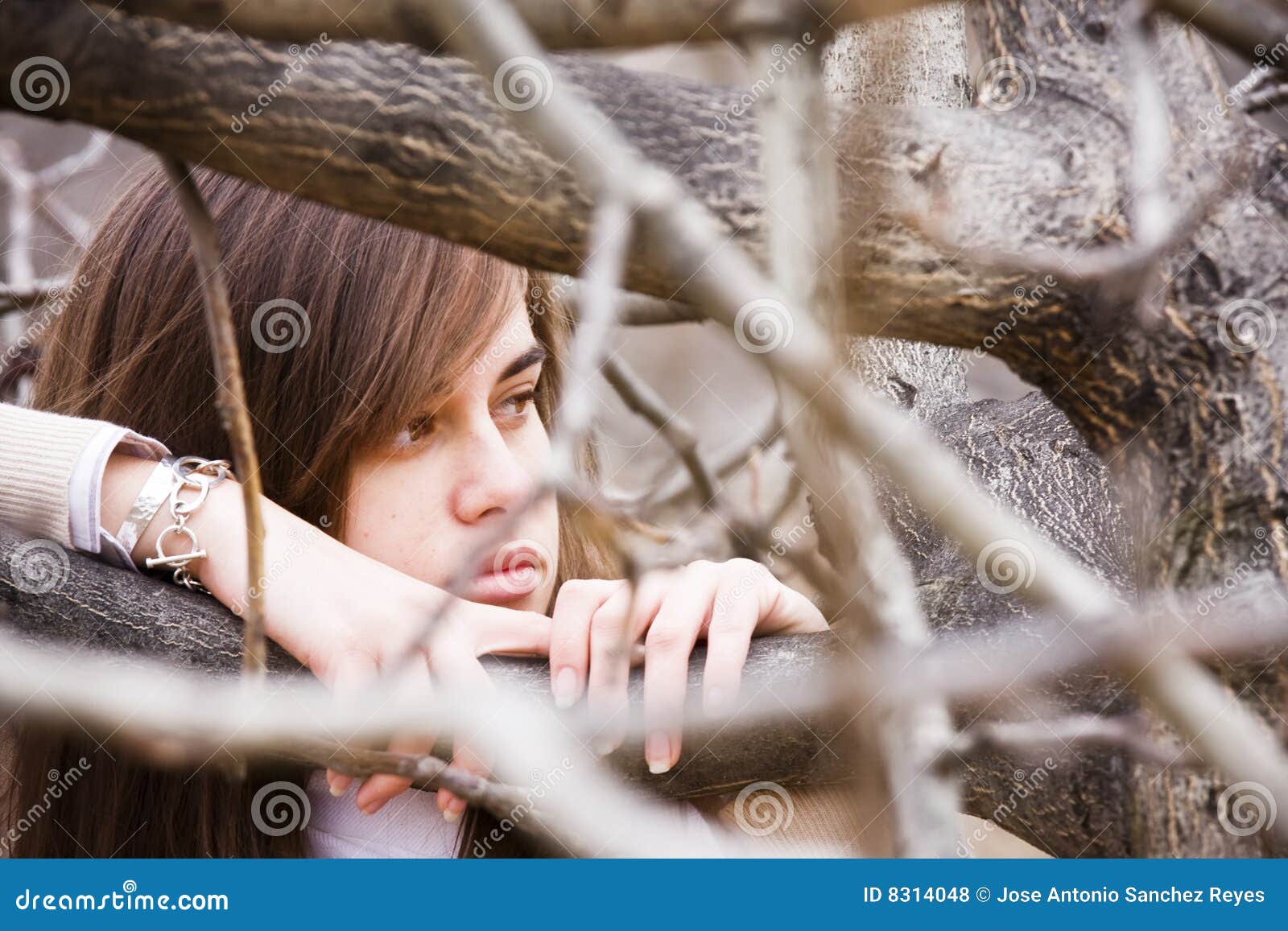 Young Beauty between Branches Stock Photo - Image of beauty, face: 8314048