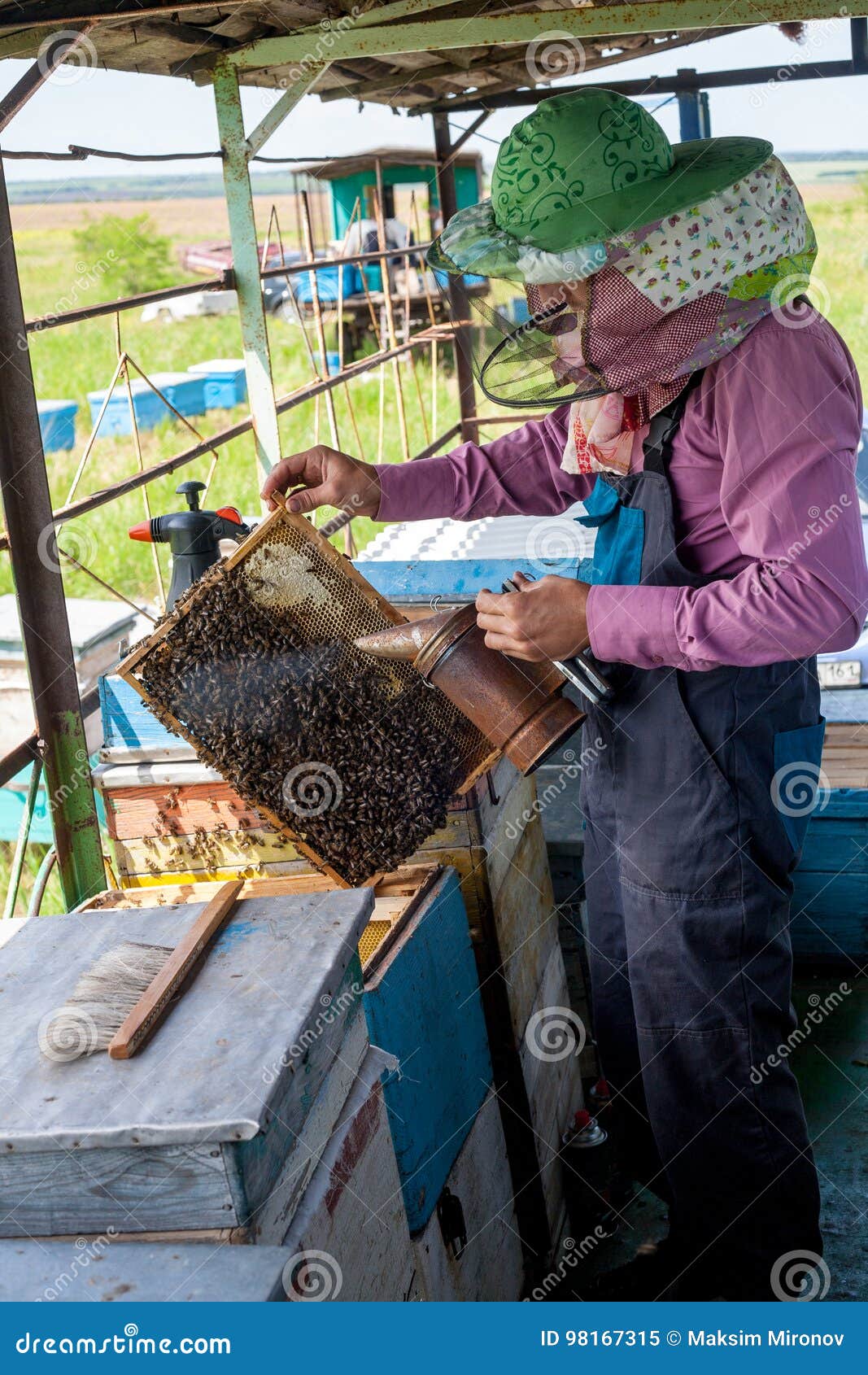 Beekeeper is Working with Bees and Beehives on the Apiary. Beekeeper on ...