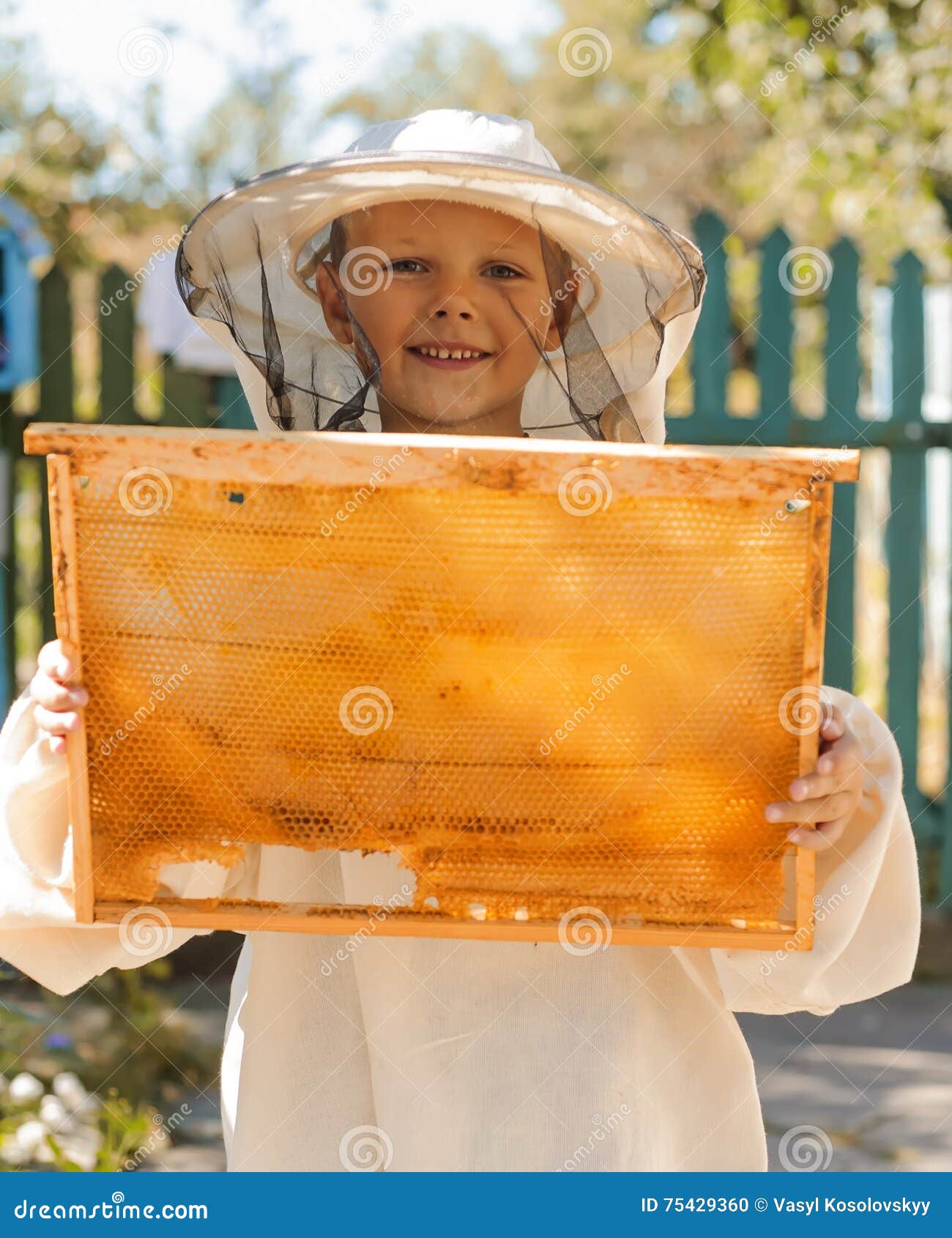 Young Beekeeper Boy Holding Frame of Honeycomb Stock Photo - Image of ...