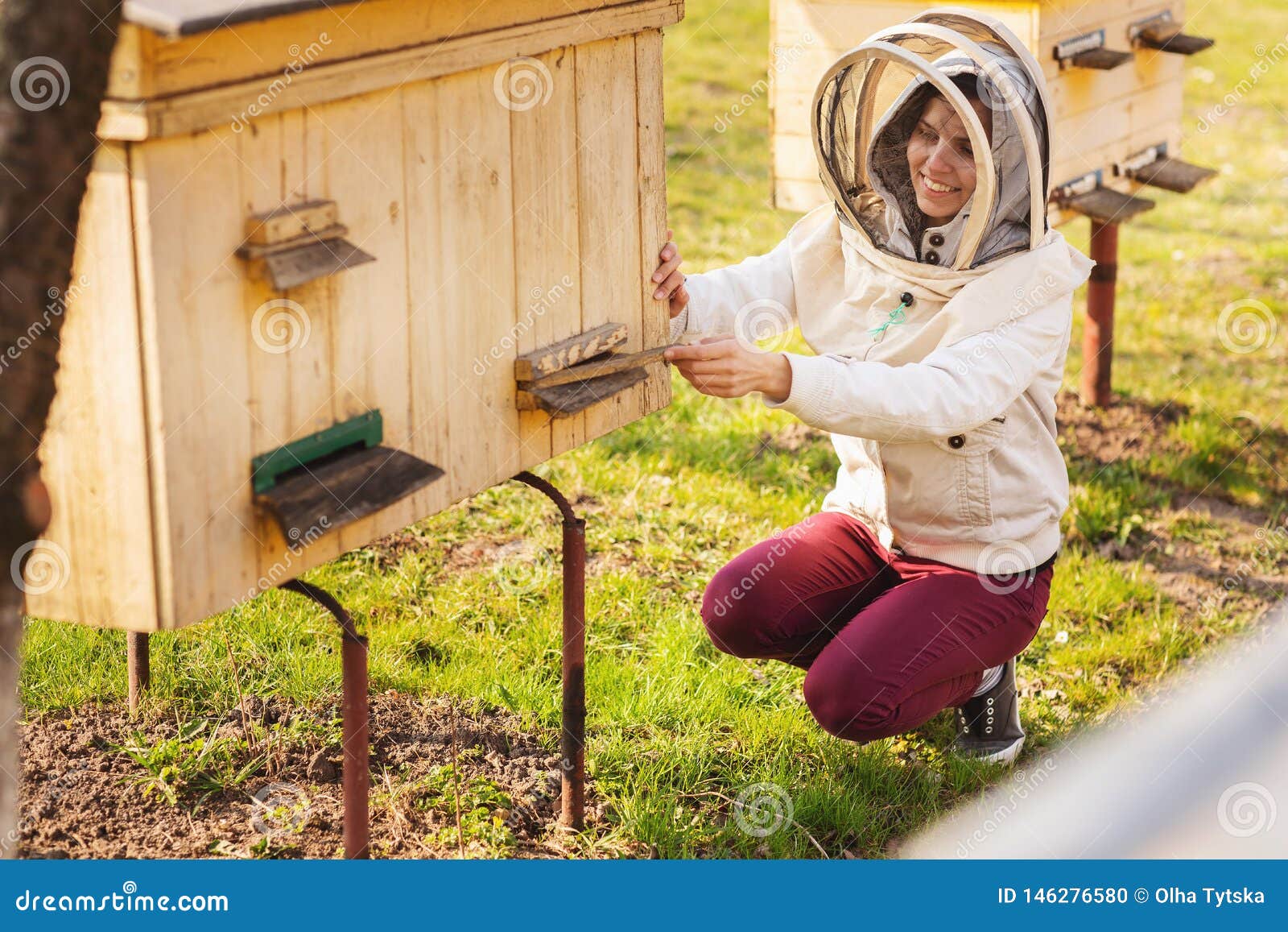 A Young Beekeeper Girl is Working with Bees and Inspecting Bee Hive ...