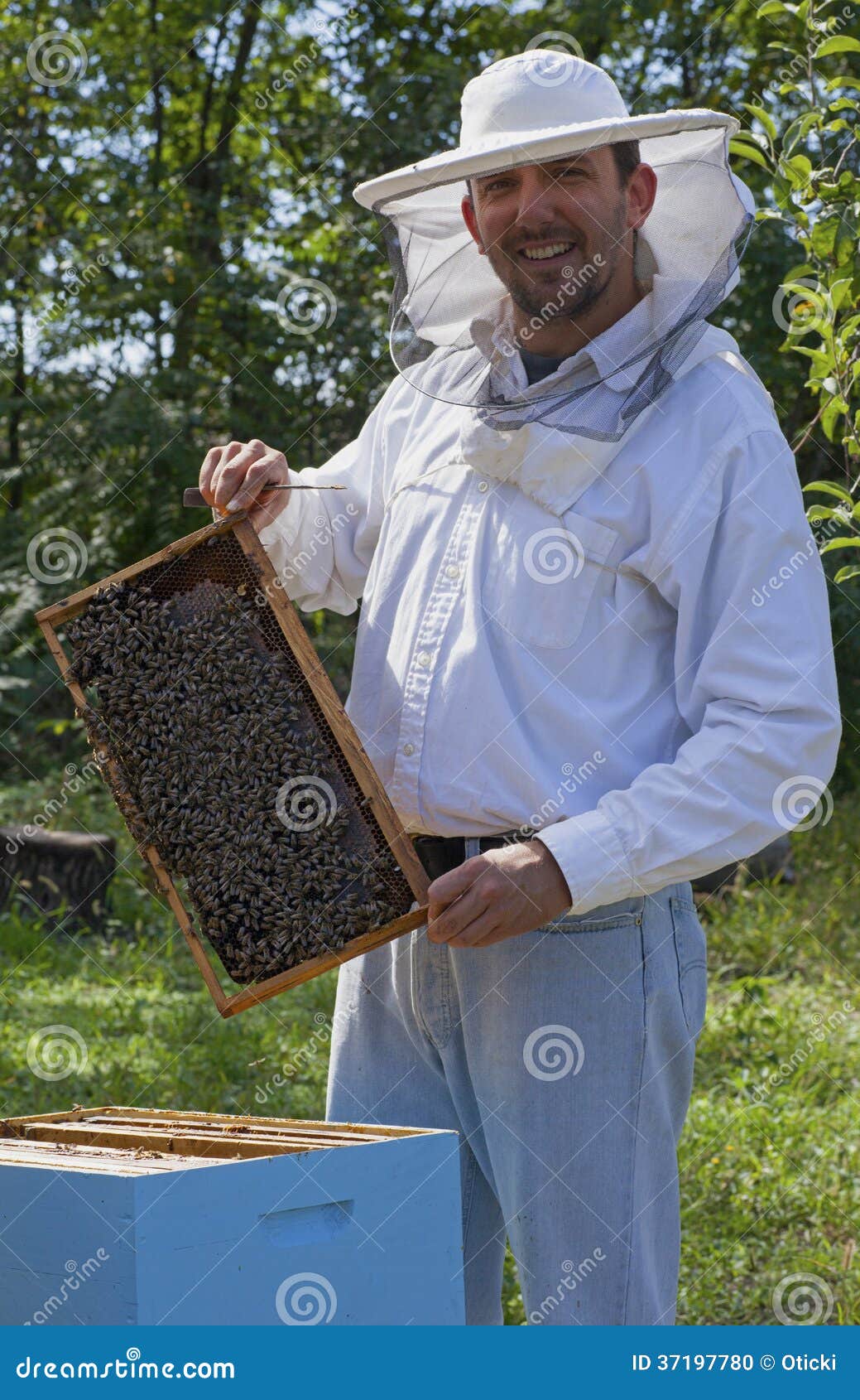 Young beekeeper smiling stock photo. Image of honey, apiary - 37197780