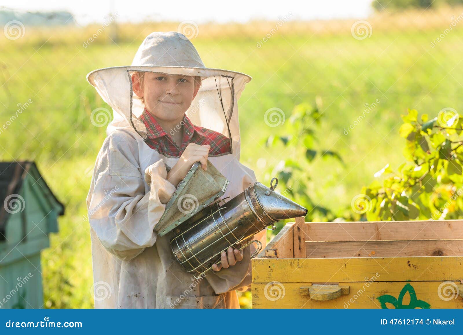 Young Beekeeper Working in Apiary Stock Photo - Image of clothing ...