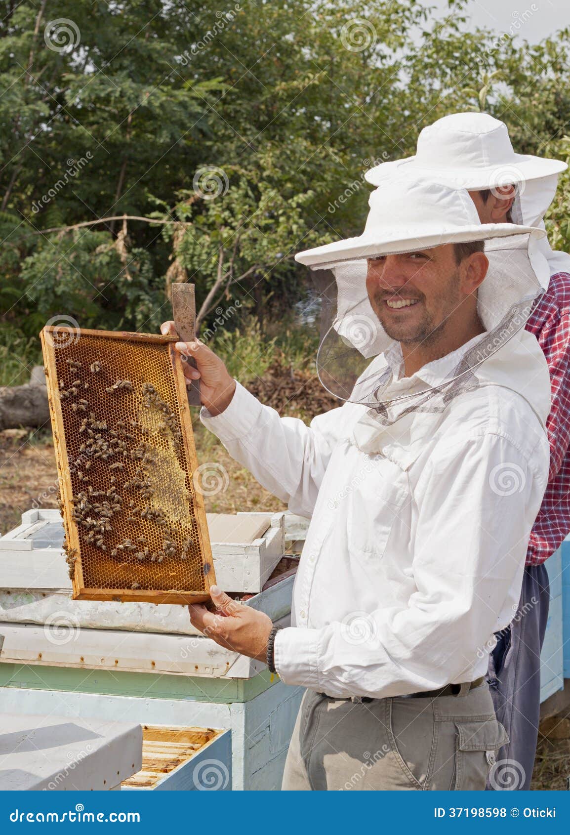 Young beekeepers stock photo. Image of honey, frame, protective - 37198598