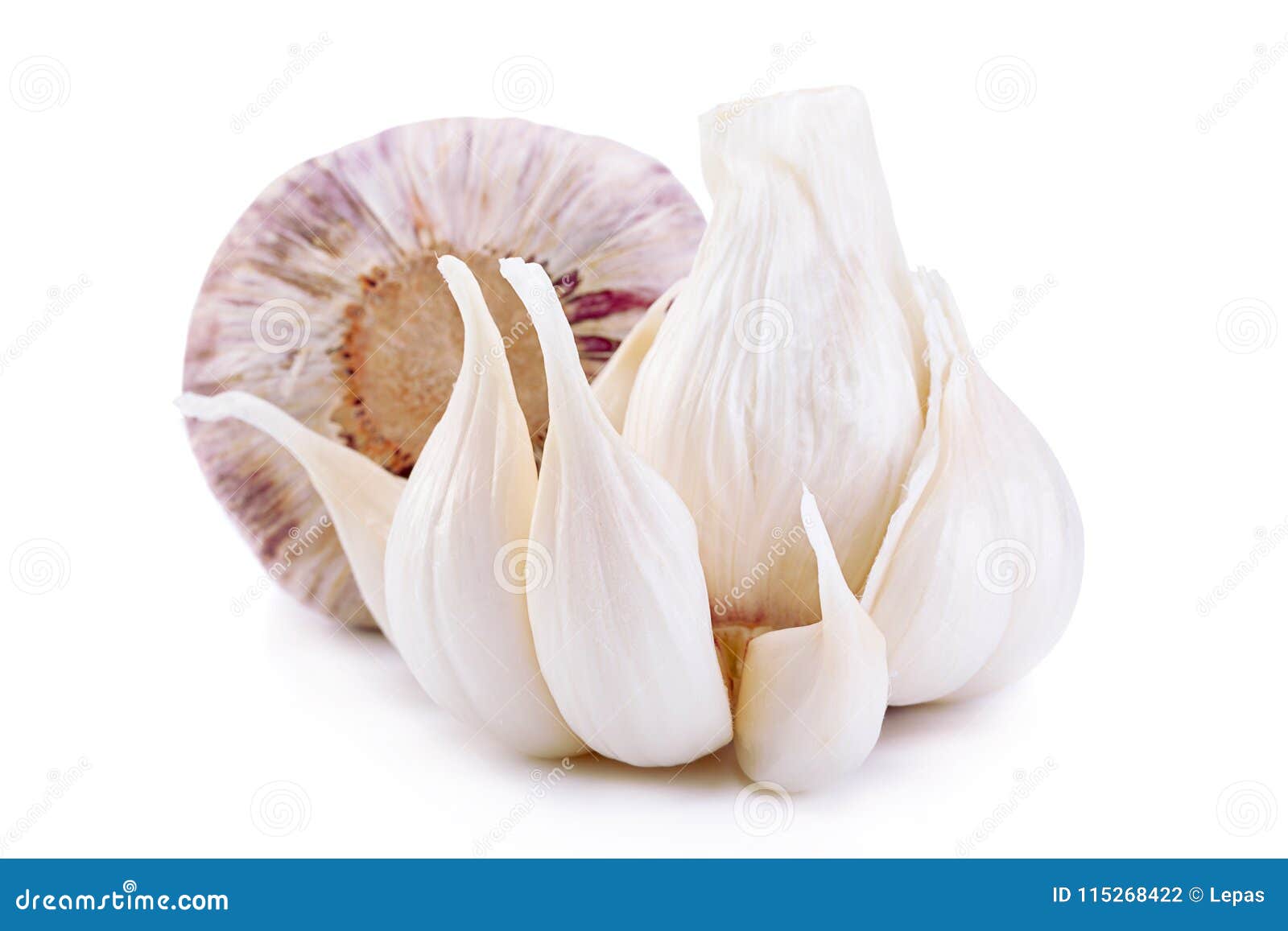 Young big garlic on white stock photo. Image of ingredient - 115268422