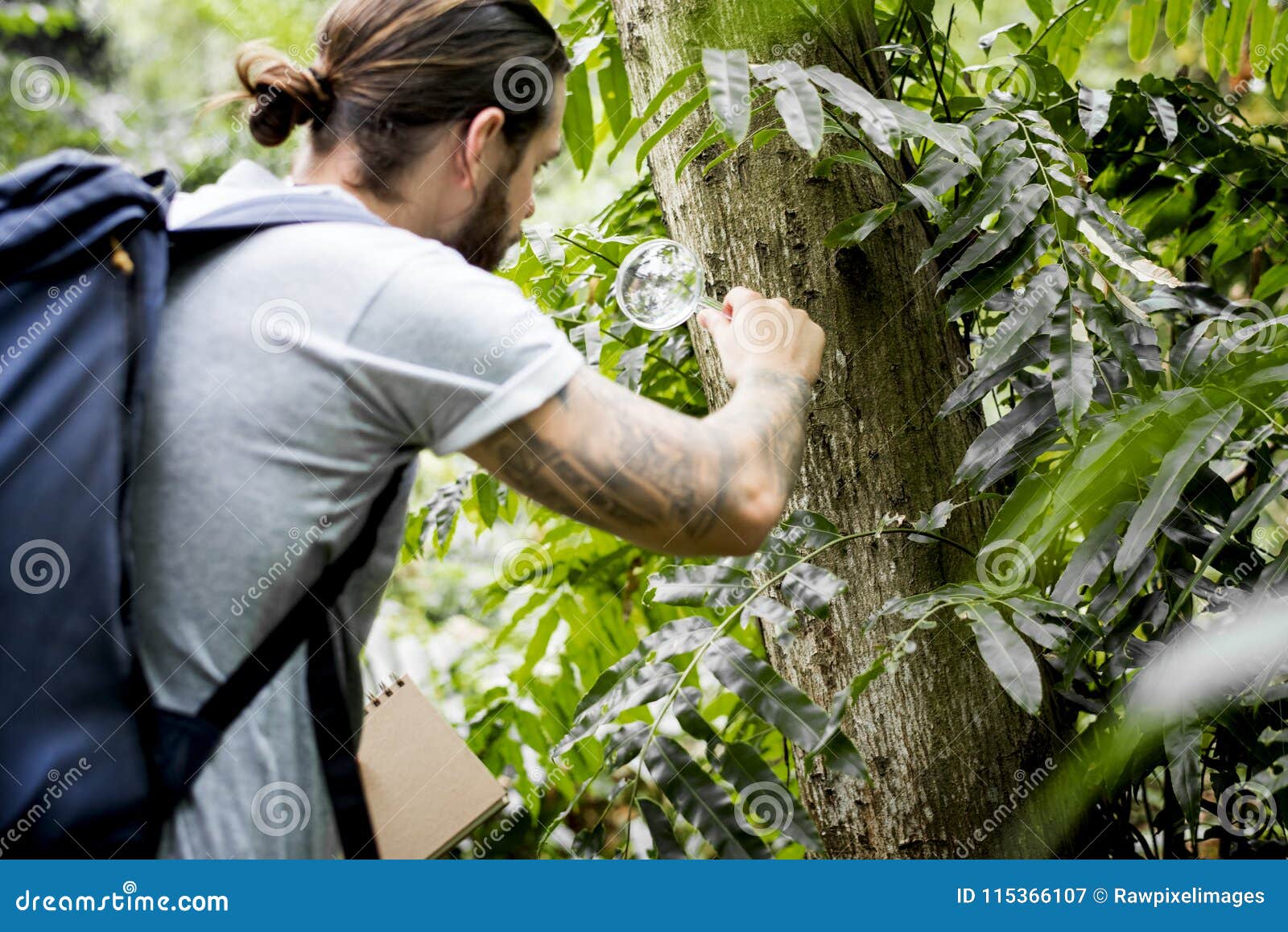 Young Biologist Working in a Tropical Forest Stock Image - Image of ...