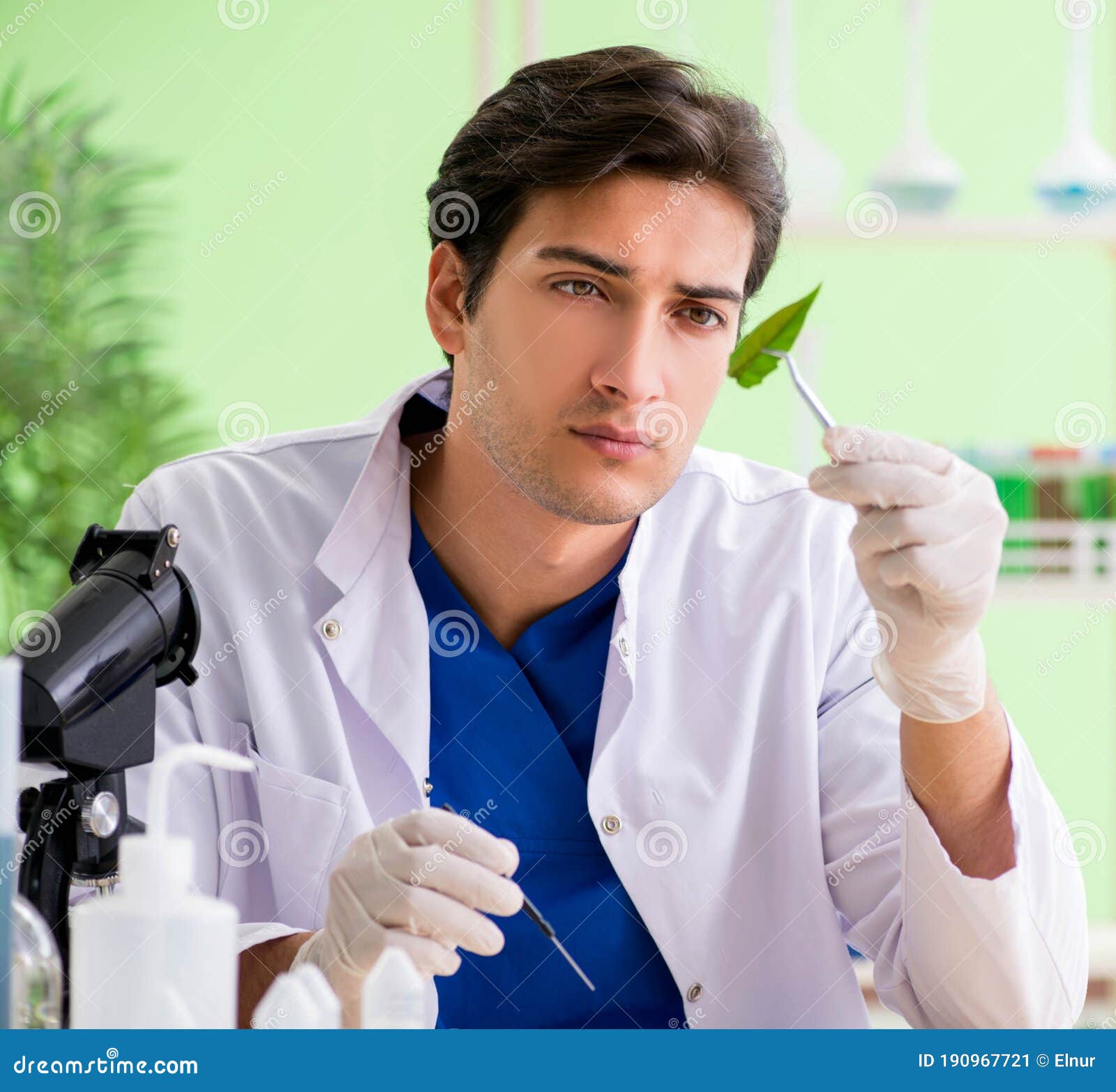 Young Biotechnology Scientist Chemist Working in Lab Stock Image ...