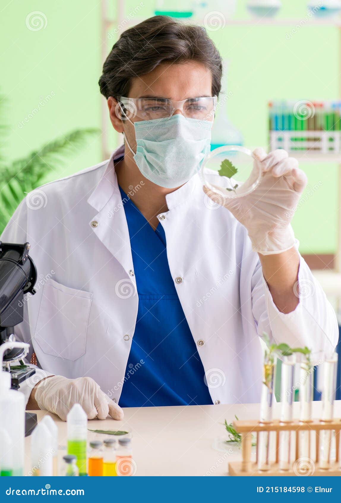 Young Biotechnology Scientist Chemist Working in Lab Stock Photo ...