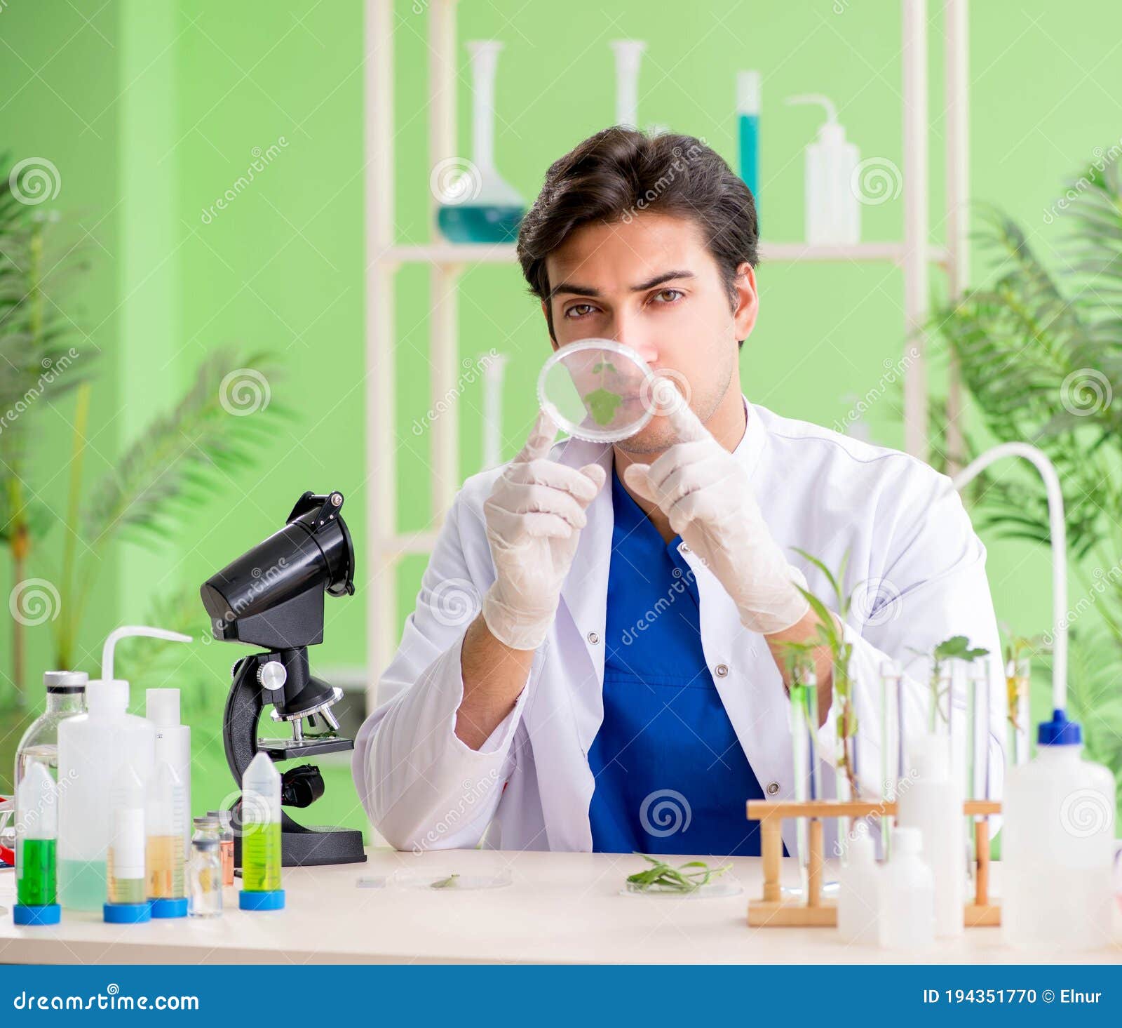 Young Biotechnology Scientist Chemist Working in Lab Stock Photo ...