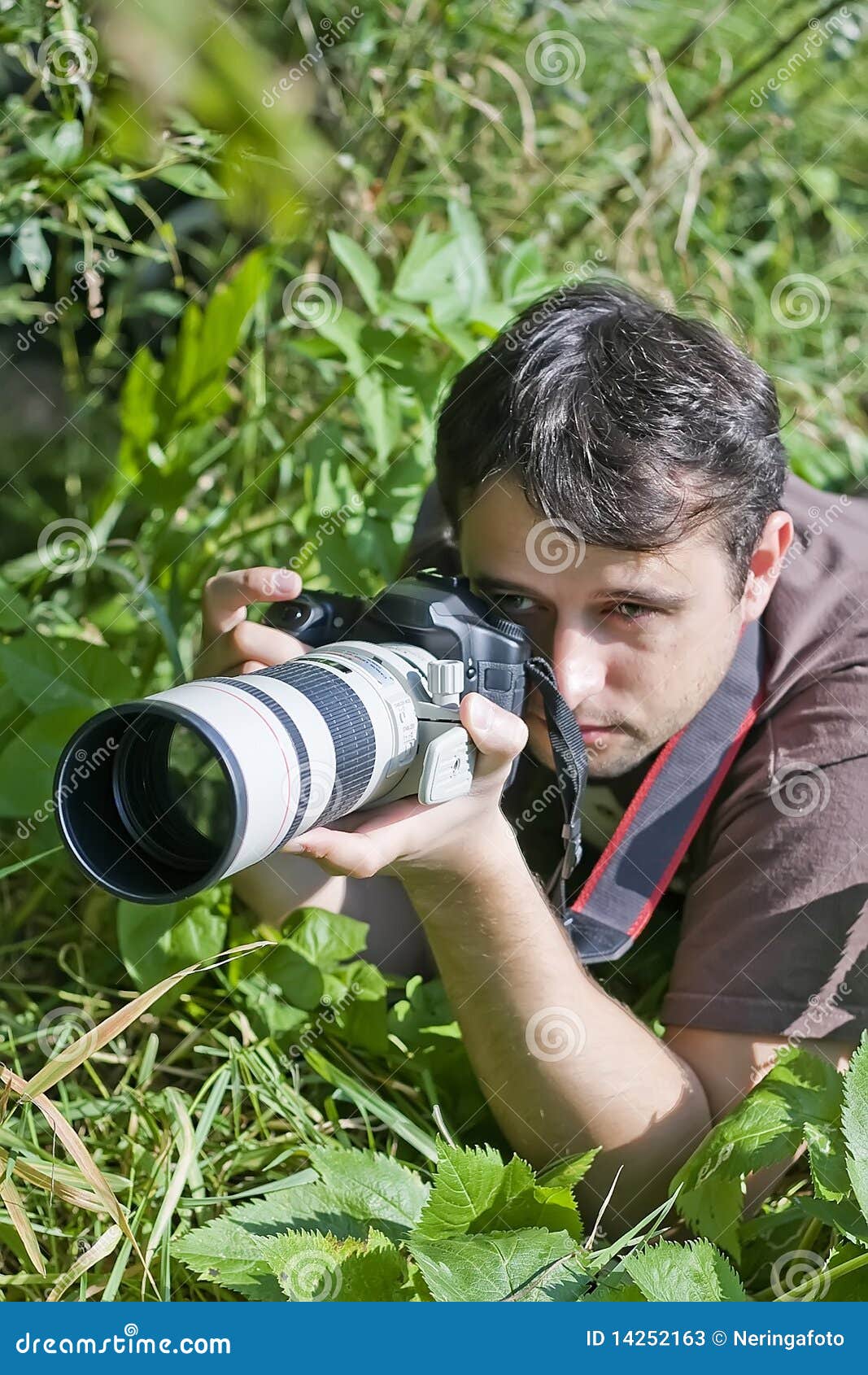 Young Bird Watcher with Photo Camera Stock Image - Image of exploration ...