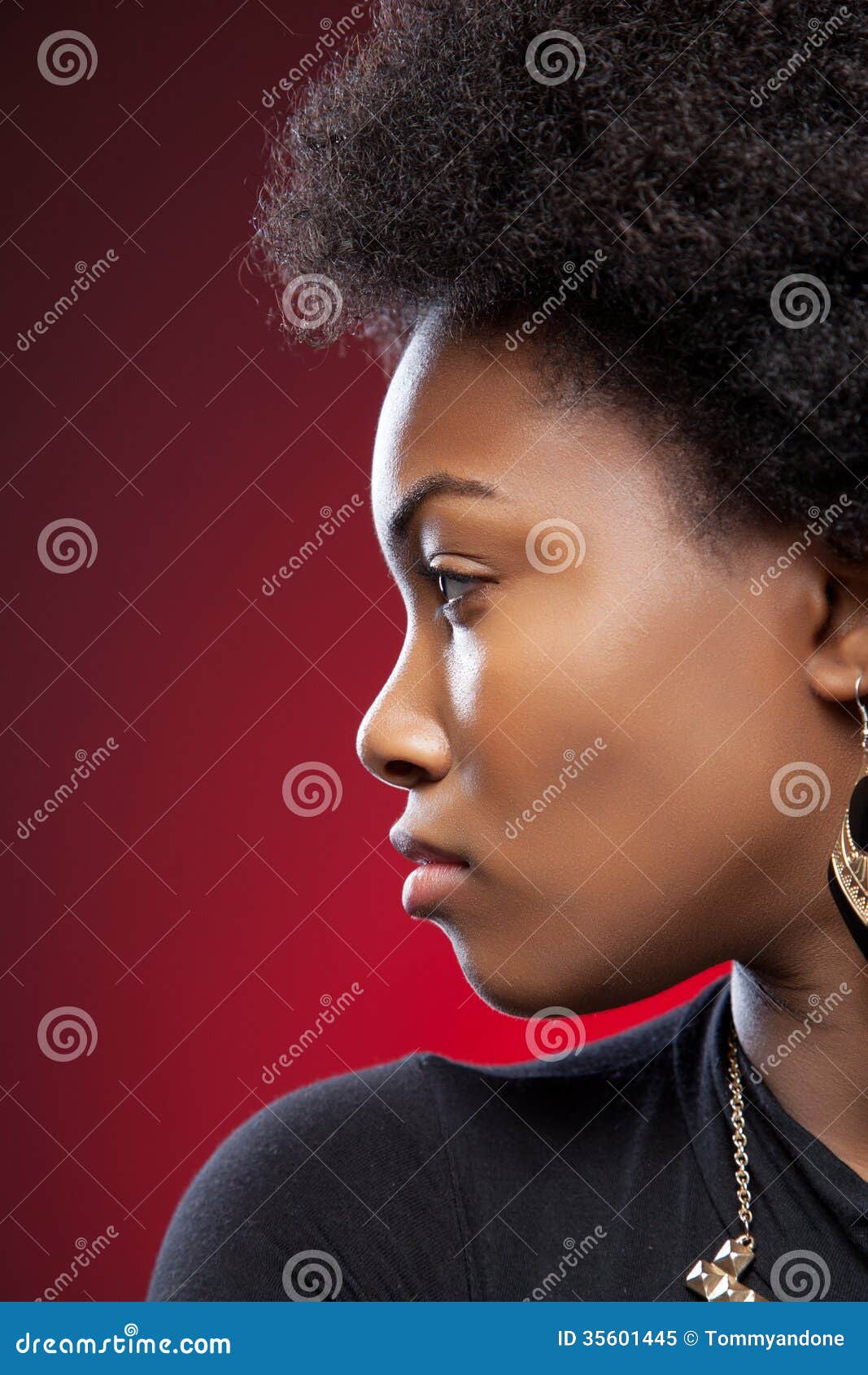 Young Black Beauty with Afro Hairstyle Stock Image - Image of clear ...