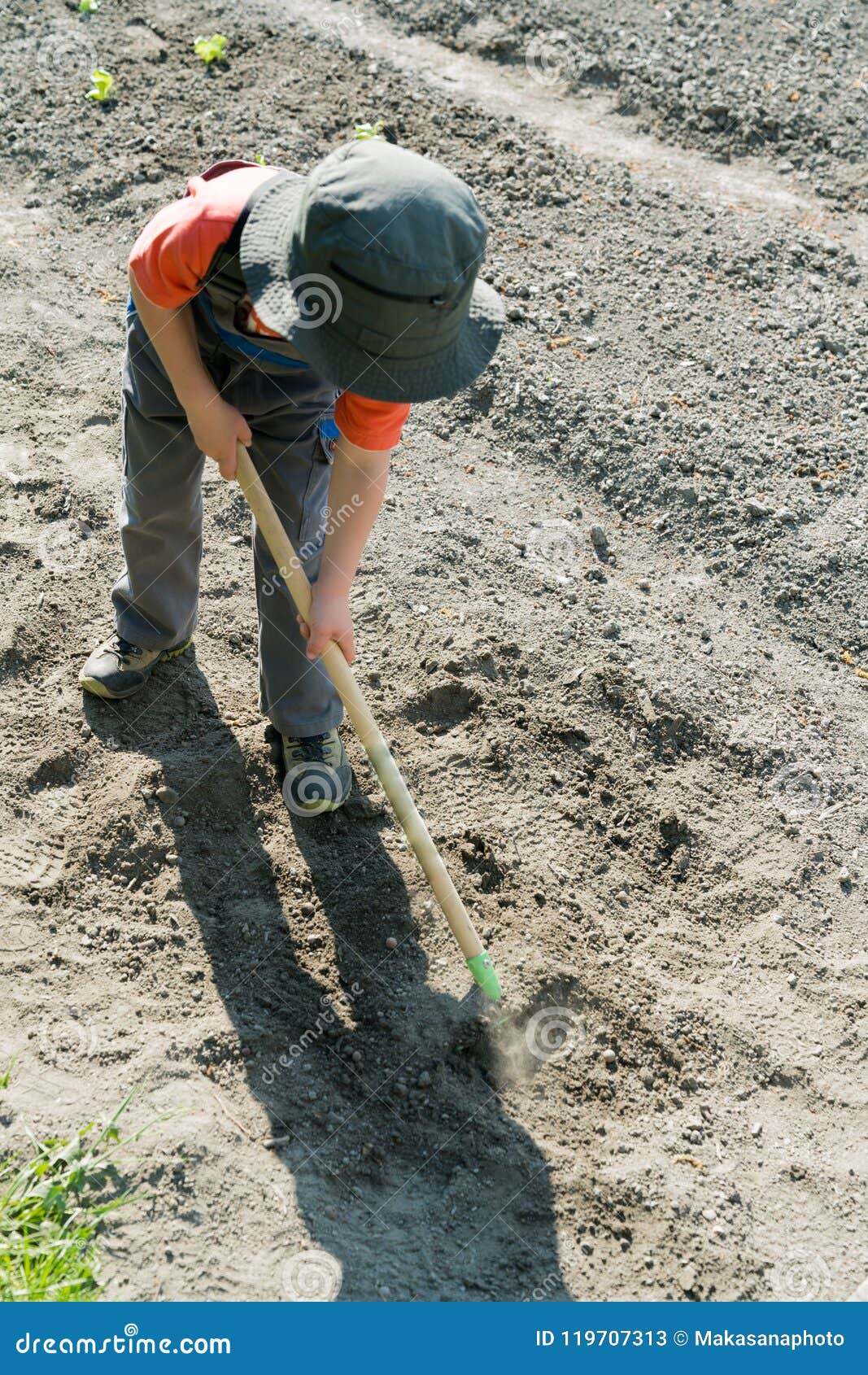 Young Blond Boy Plowing and Raking and Preparing His Vegetable Plot in ...