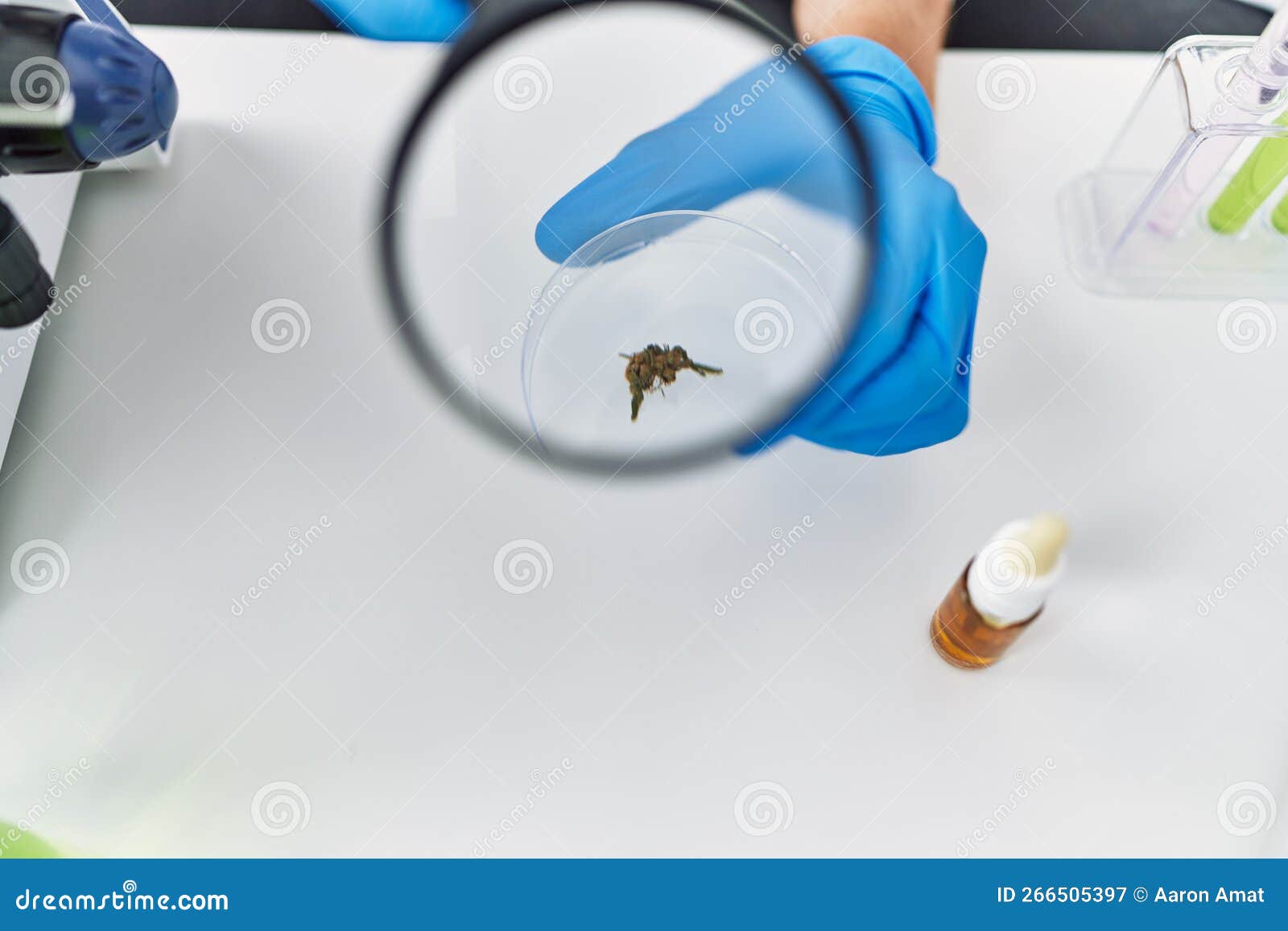 Young Blond Man Scientist Using Magnifying Glass at Laboratory Stock ...