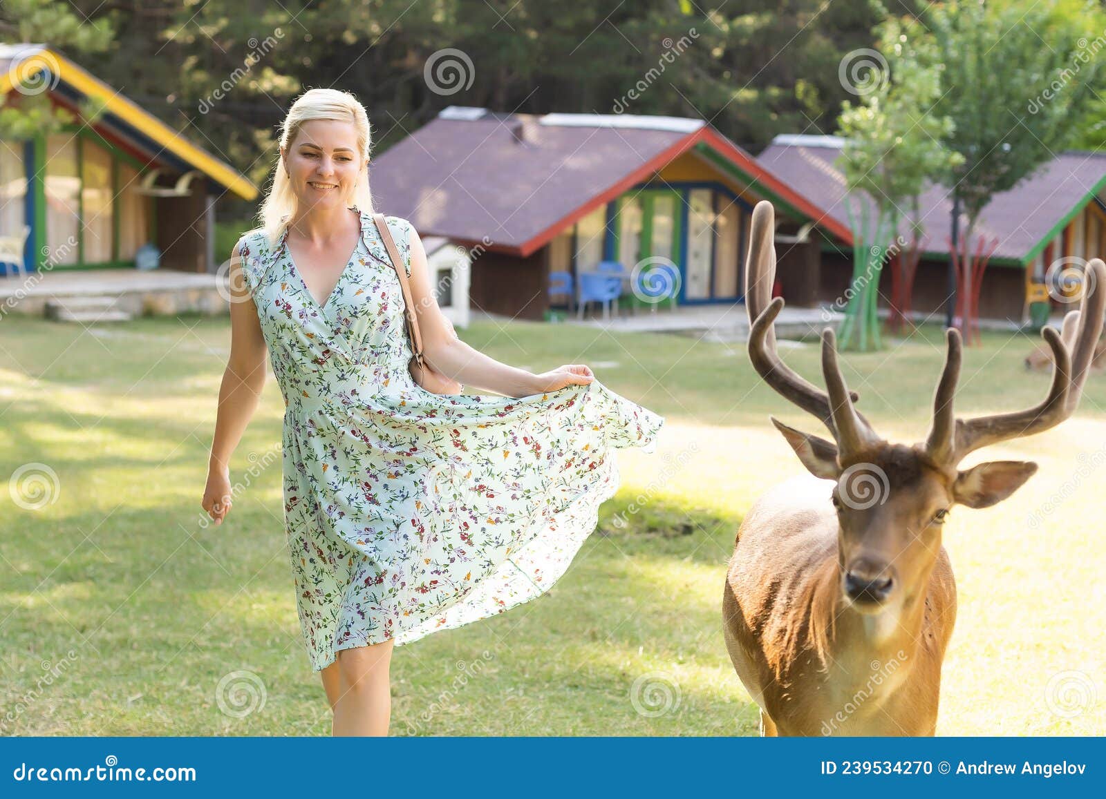Young Blonde Lady Running Deer Stock Photos - Free & Royalty-Free Stock ...