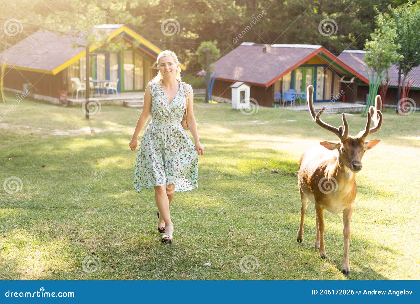 Young Blonde Lady Running Deer Stock Photos - Free & Royalty-Free Stock ...