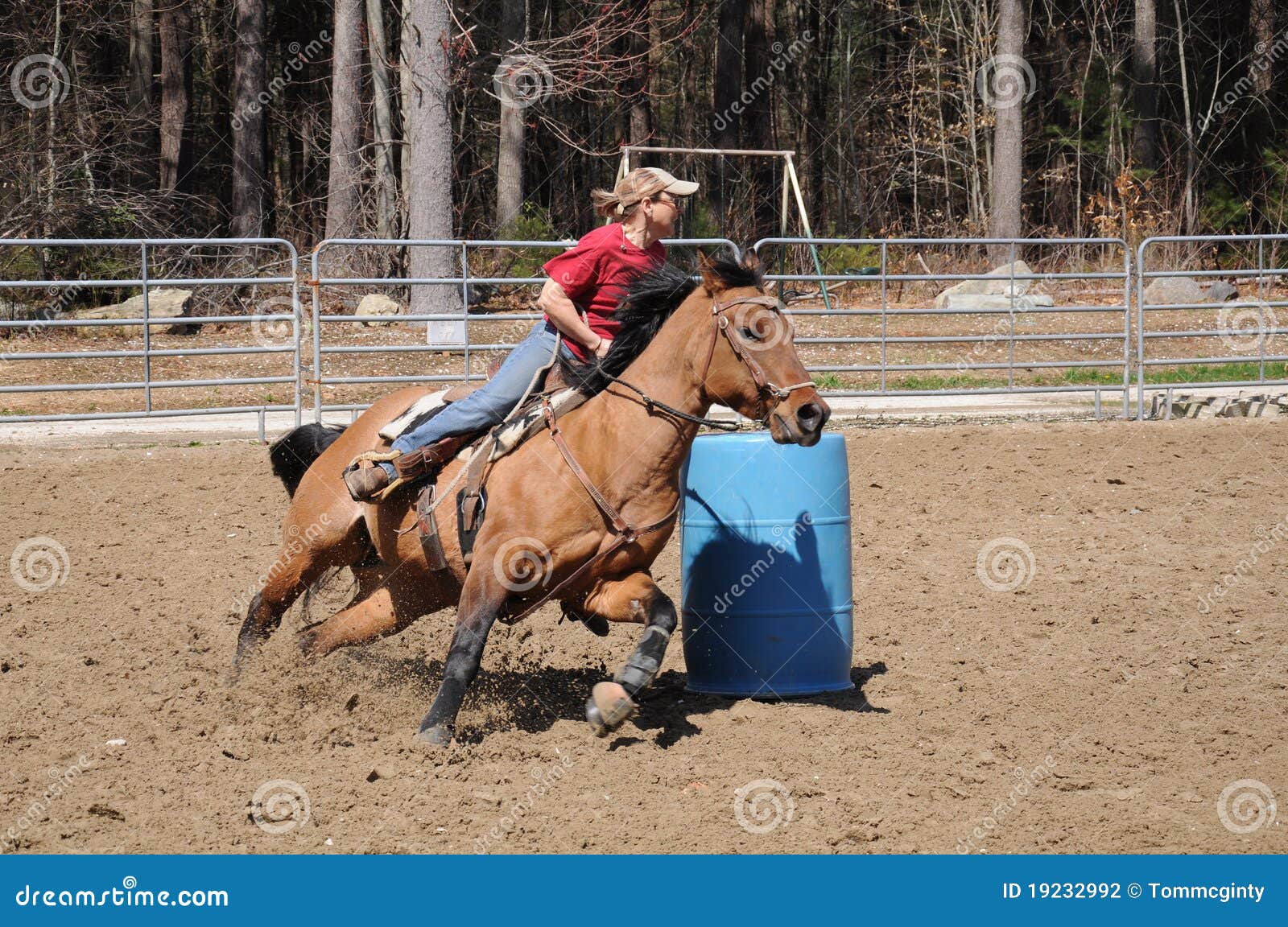 Young Blonde Woman Barrel Racing Stock Photo - Image of blonde ...