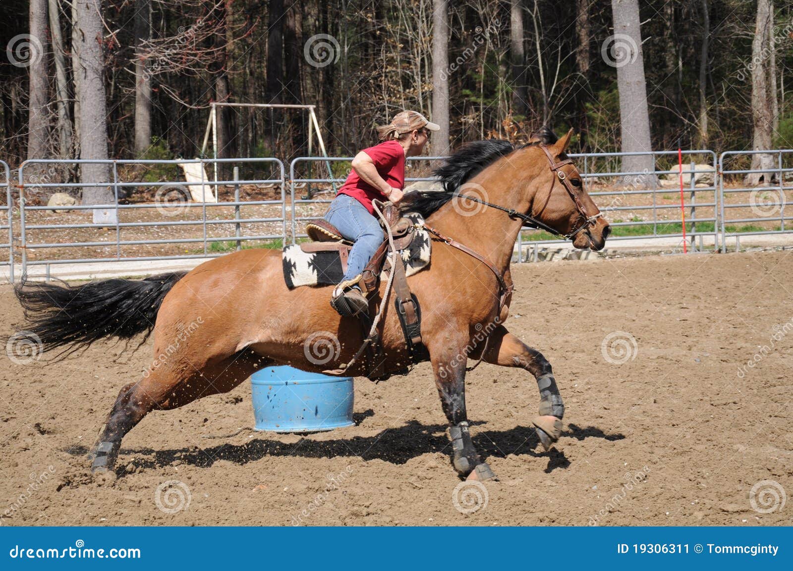 Young Blonde Woman Barrel Racing Stock Image - Image of texas, timed ...